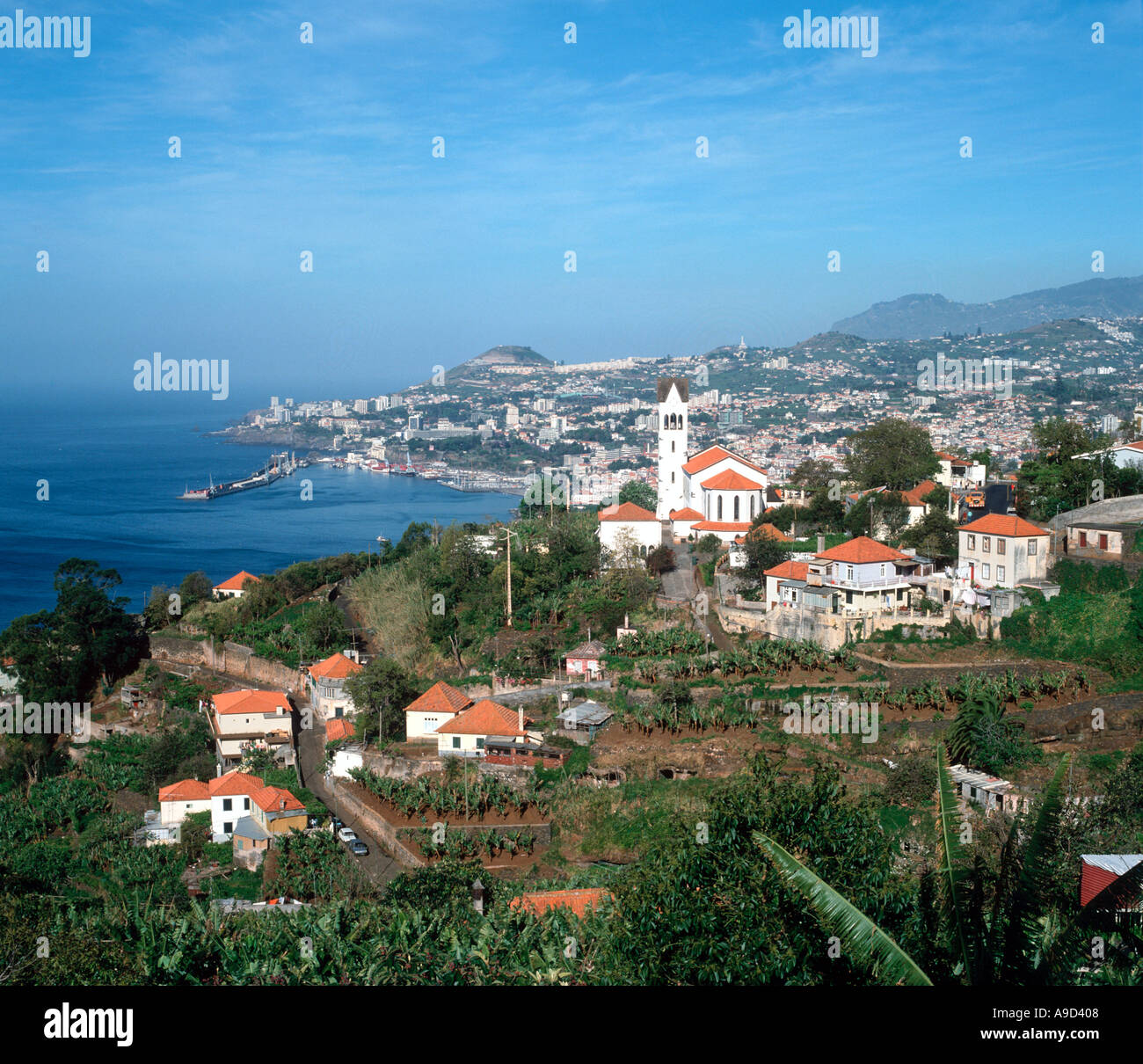 Funchal madeira -Fotos und -Bildmaterial in hoher Auflösung – Alamy