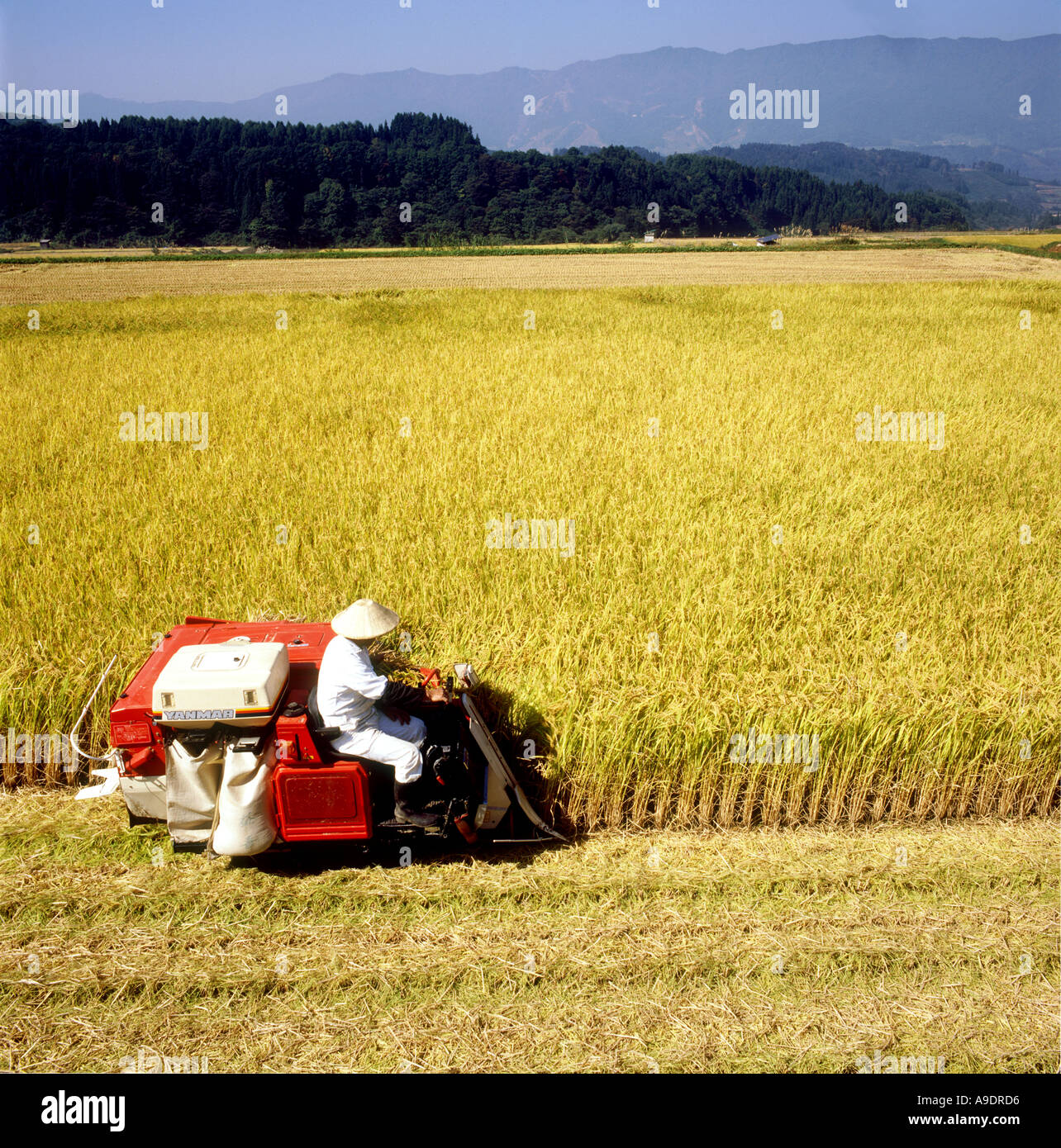 Japan landwirtschaft -Fotos und -Bildmaterial in hoher Auflösung – Alamy