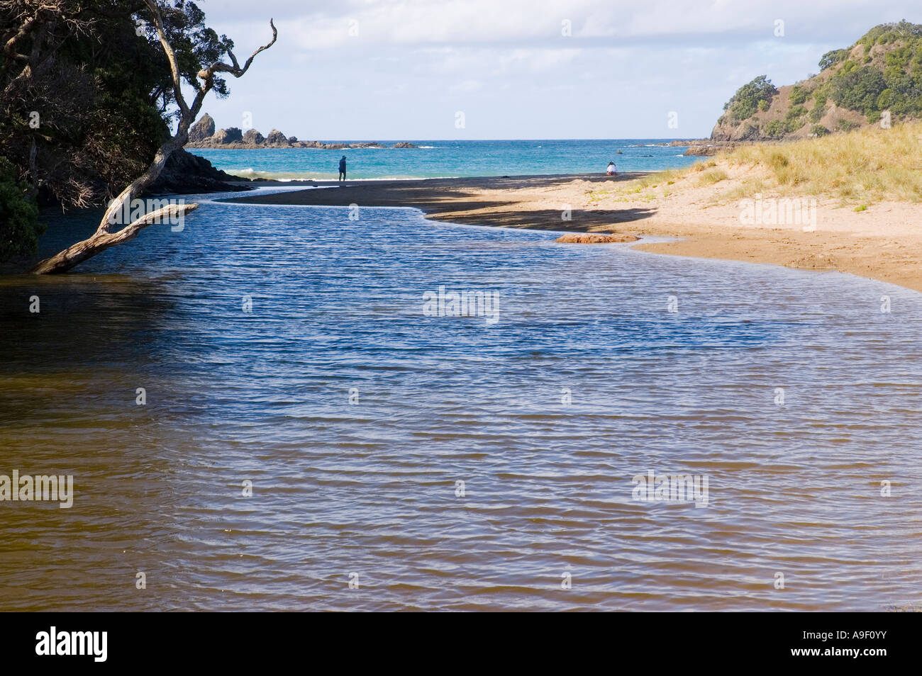 Whananaki norden -Fotos und -Bildmaterial in hoher Auflösung – Alamy