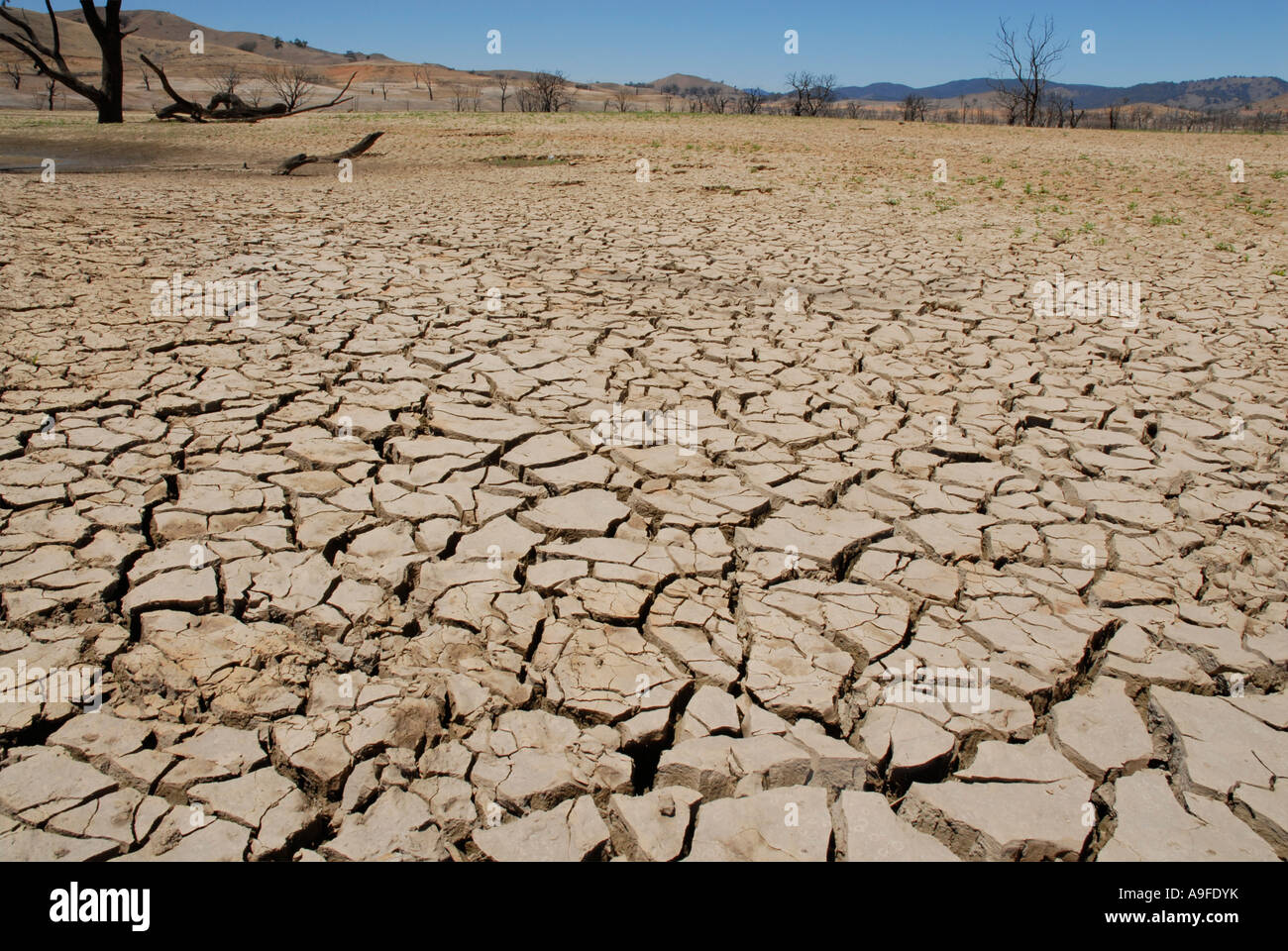 See in der Nähe von Bonnie Doon Victoria Australien ausgetrocknet Stockfotografie - Alamy