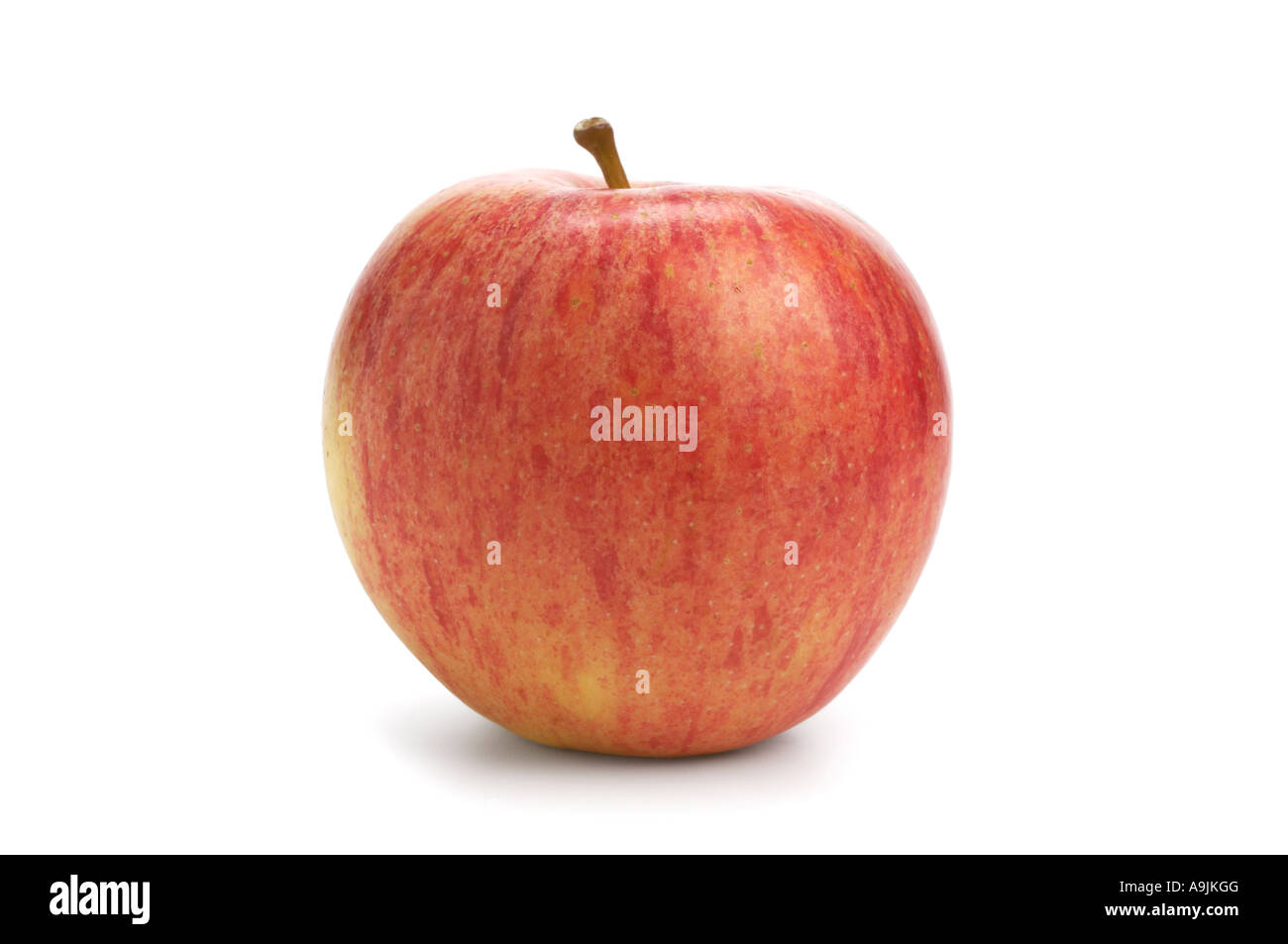 Braeburn apple -Fotos und -Bildmaterial in hoher Auflösung – Alamy