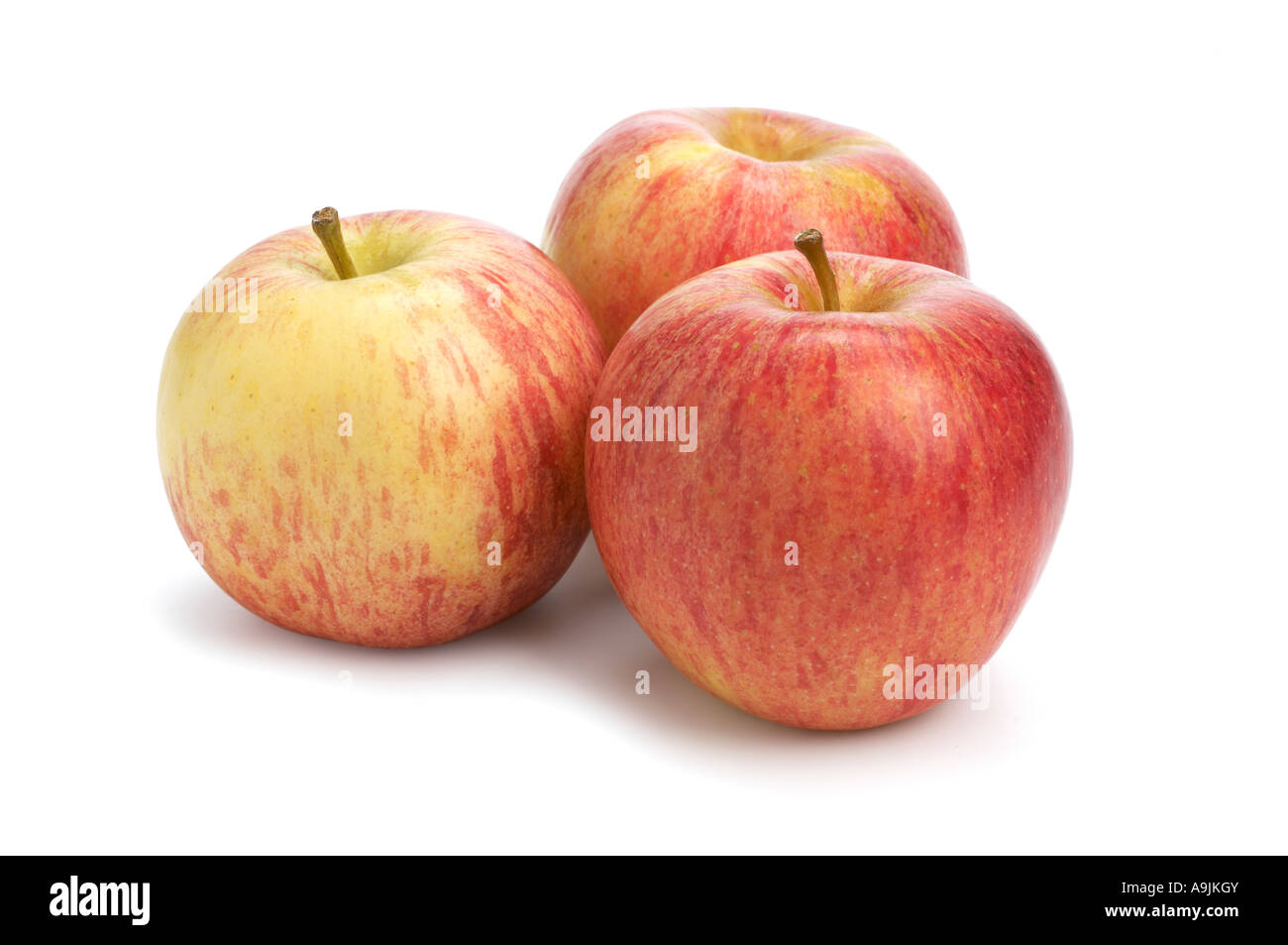 Braeburn apple -Fotos und -Bildmaterial in hoher Auflösung – Alamy