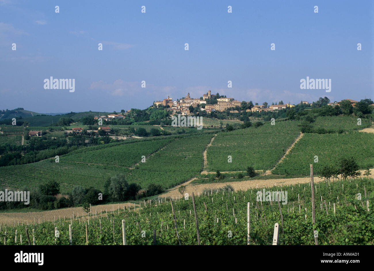 Vino piemonte -Fotos und -Bildmaterial in hoher Auflösung – Alamy