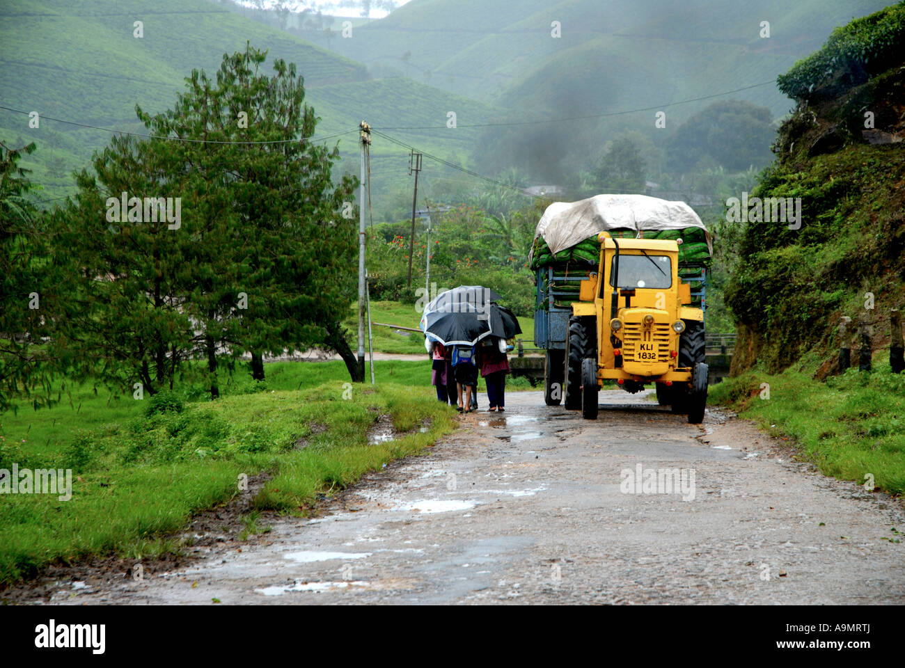 Transporting tea -Fotos und -Bildmaterial in hoher Auflösung – Alamy
