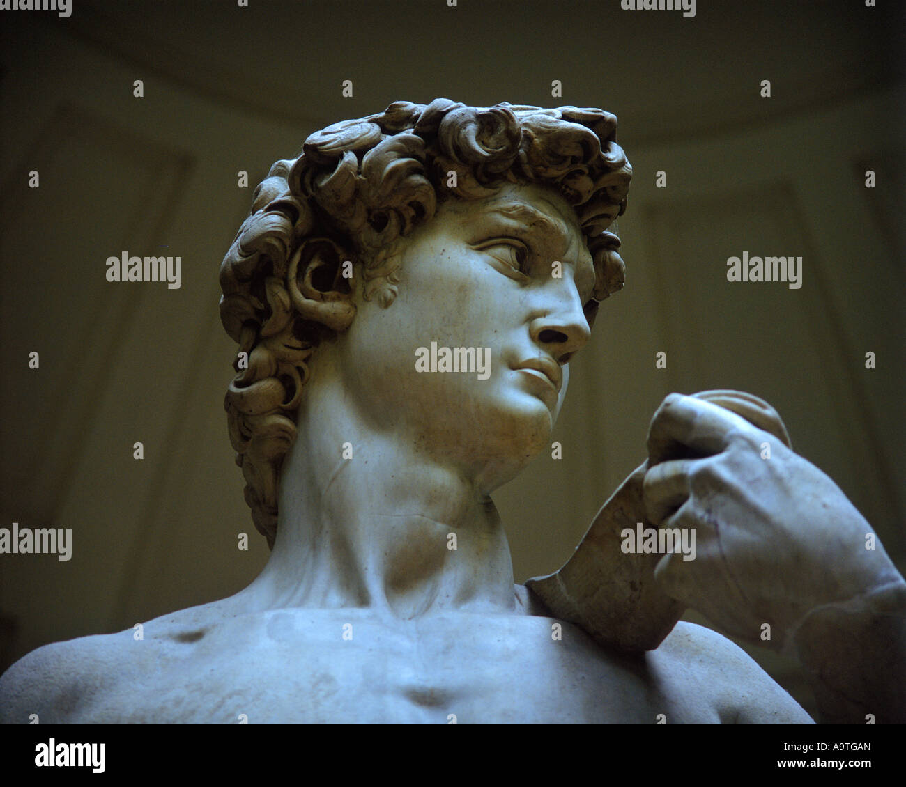 STATUE VON MICHELANGELO DAVID ACCADEMIA DI BELLE ARTI FLORENZ TOSKANA ...