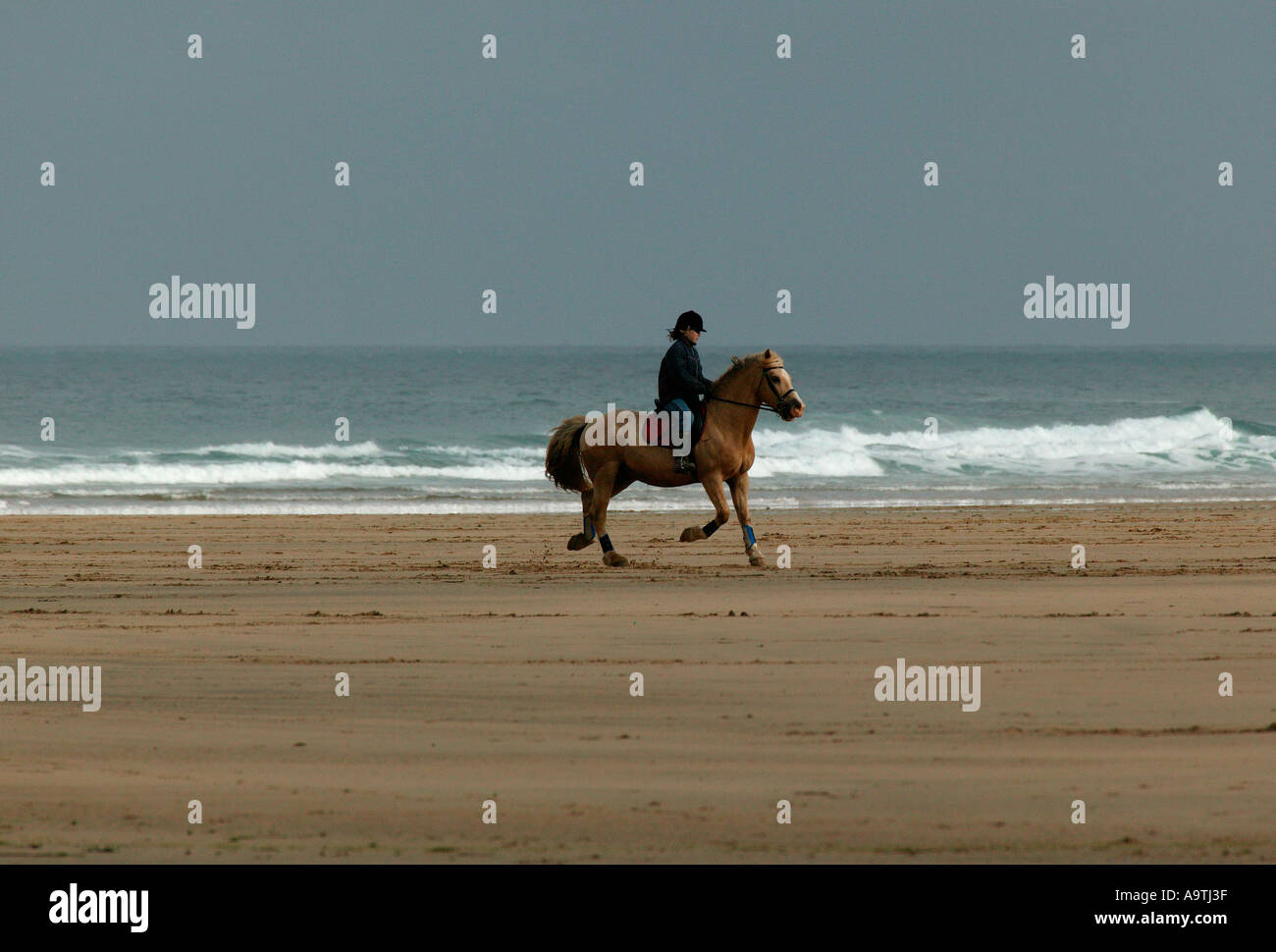 Reiter und pferd am strand -Fotos und -Bildmaterial in hoher Auflösung – Alamy