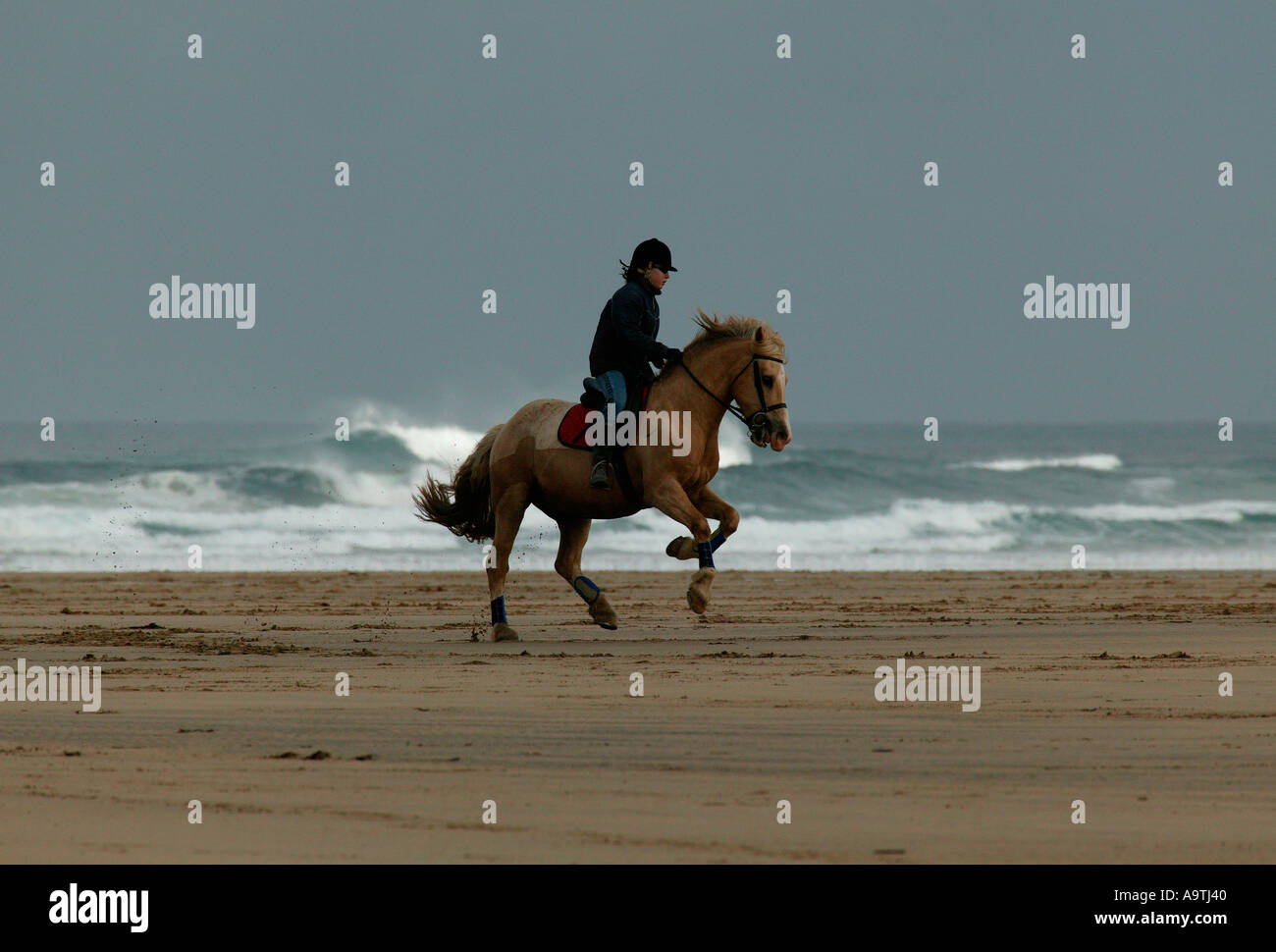 Pferd und reiter am strand -Fotos und -Bildmaterial in hoher Auflösung – Alamy