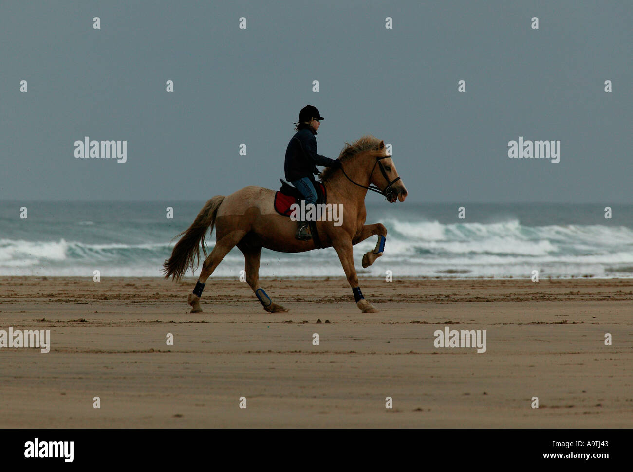 Reiter und pferd am strand -Fotos und -Bildmaterial in hoher Auflösung – Alamy