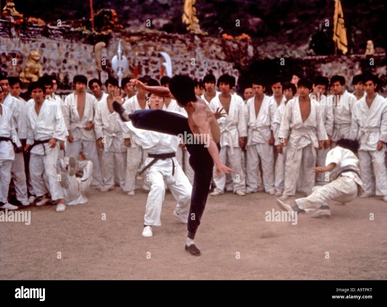 Bruce Lee Liebt Geburtstag Legendärer Kampfkünstler Bruce Lee