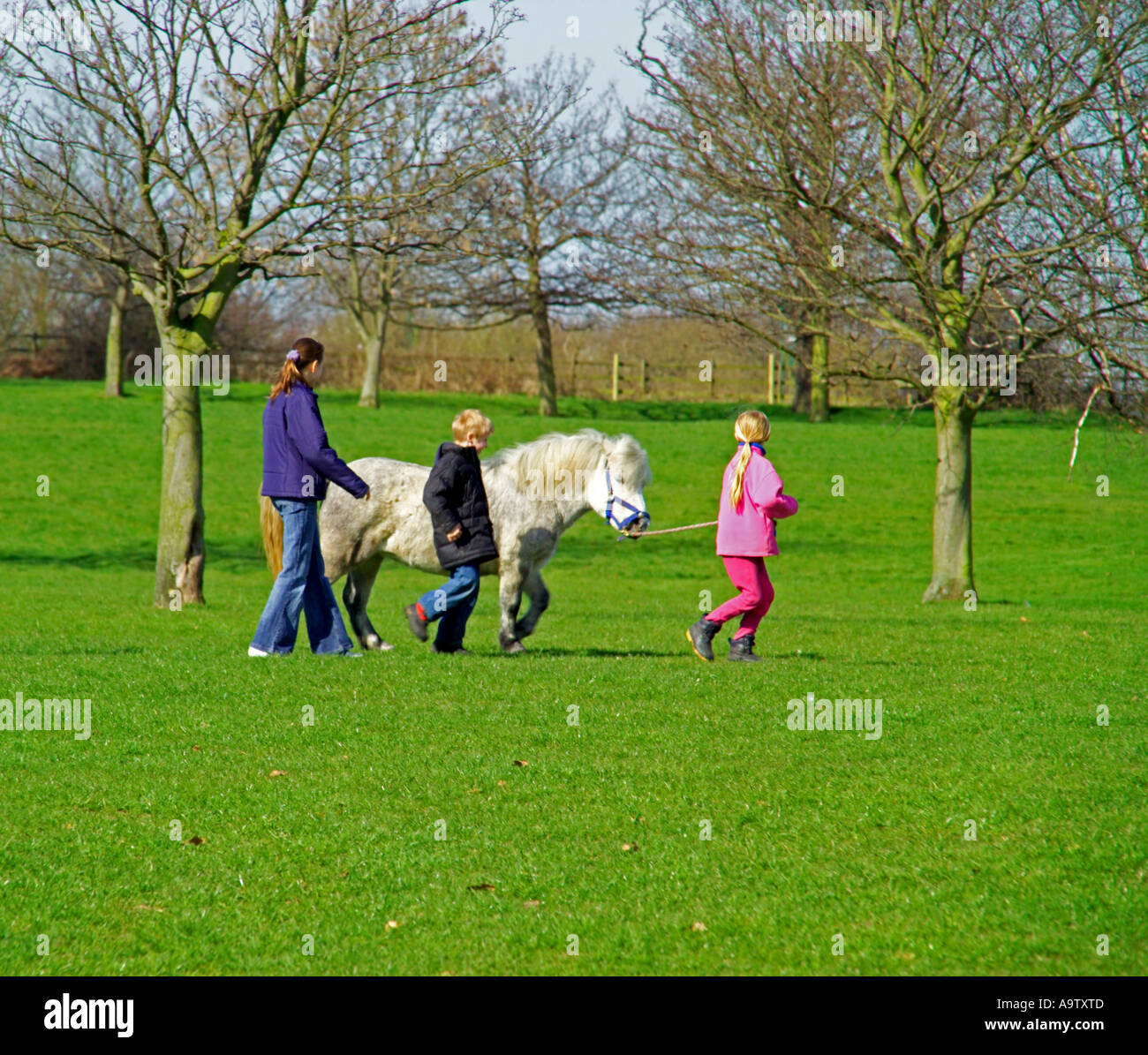 Horse kids -Fotos und -Bildmaterial in hoher Auflösung – Alamy