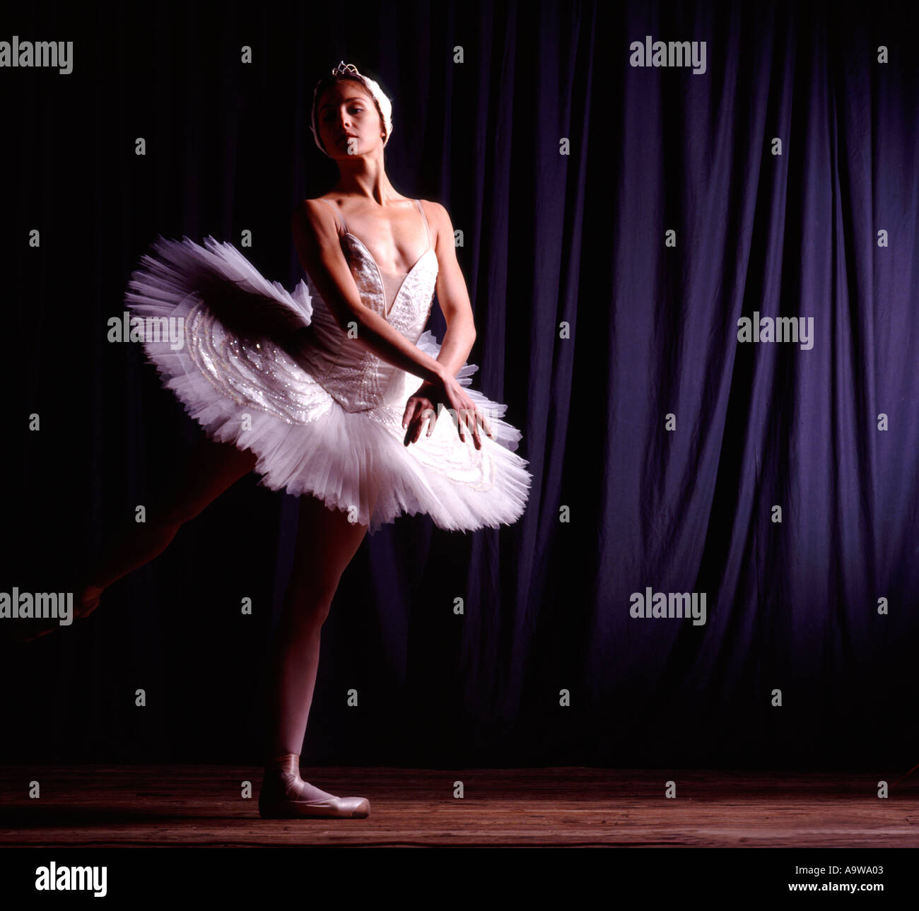 Swan lake ballet orchestra -Fotos und -Bildmaterial in hoher Auflösung ...