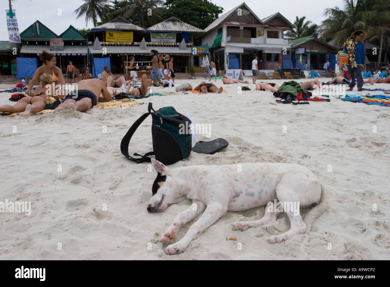 Koh nok -Fotos und -Bildmaterial in hoher Auflösung – Alamy