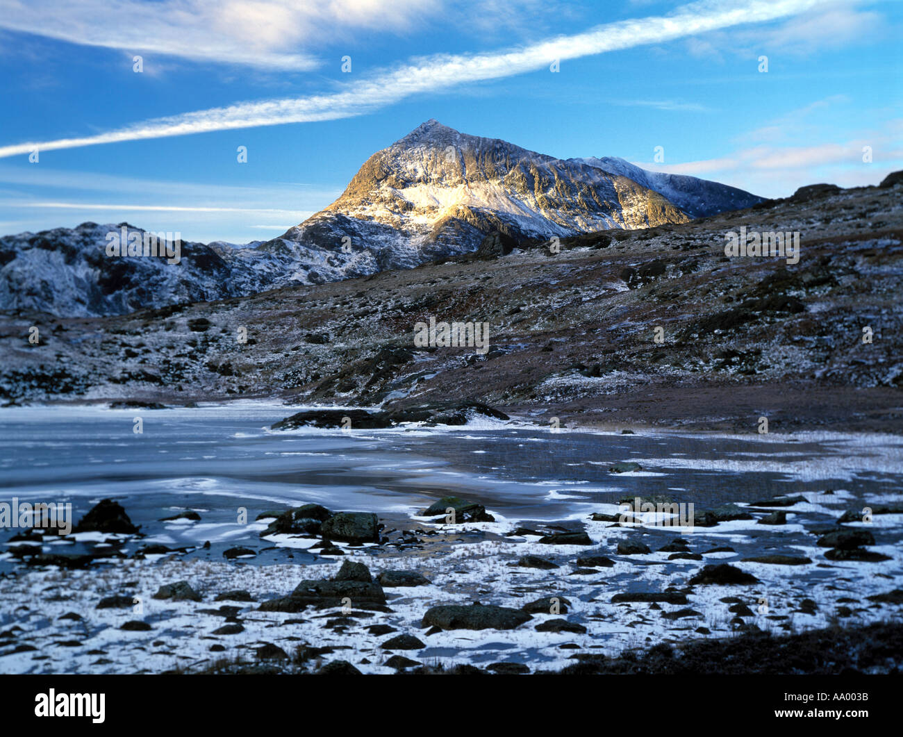 Grib goch winter -Fotos und -Bildmaterial in hoher Auflösung – Alamy