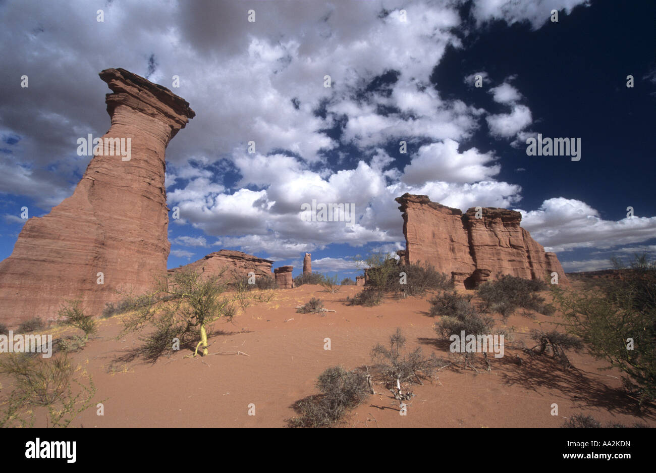 Spektakuläre Felsformationen aus rotem Sandstein und Brea bush ...
