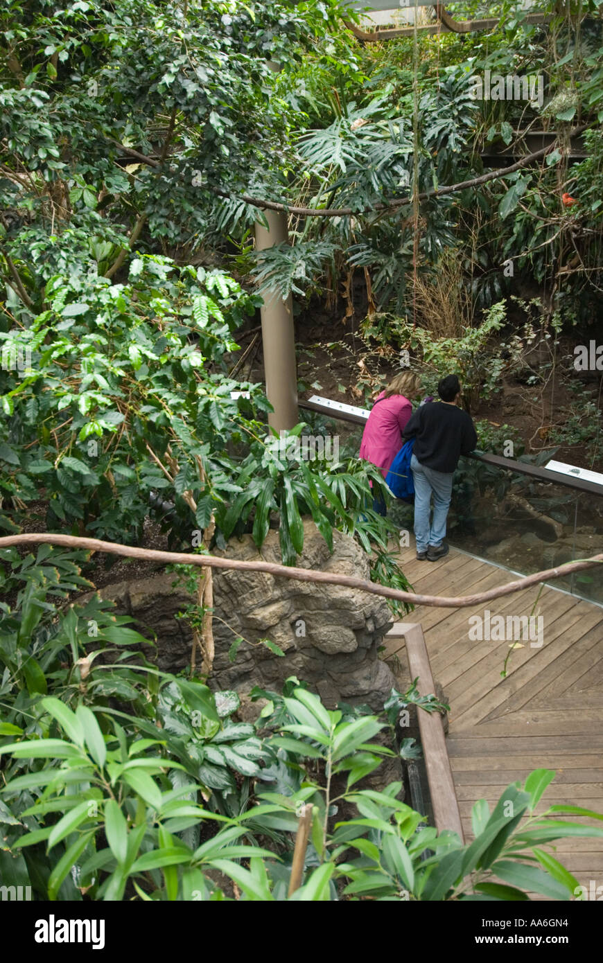 Tropische Zone im Central Park Zoo Stockfotografie - Alamy