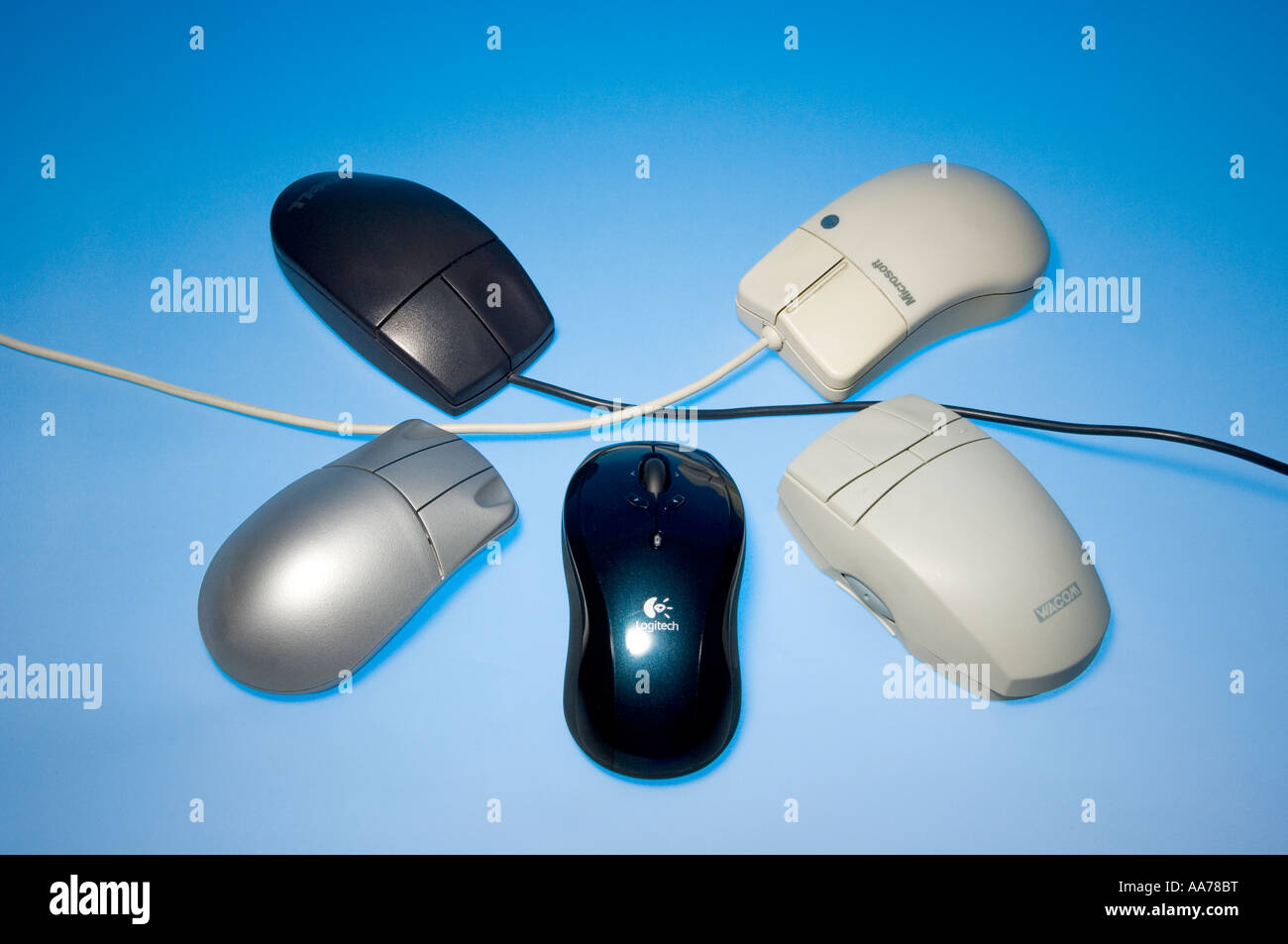 Computer maus datenverarbeitung -Fotos und -Bildmaterial in hoher ...