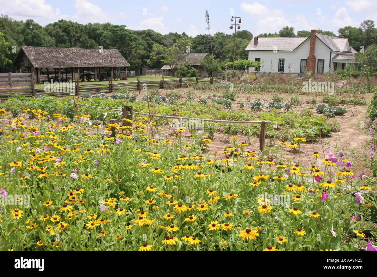Alabama Wiregrass Region, Dothan, Landmark Park, Living History ...