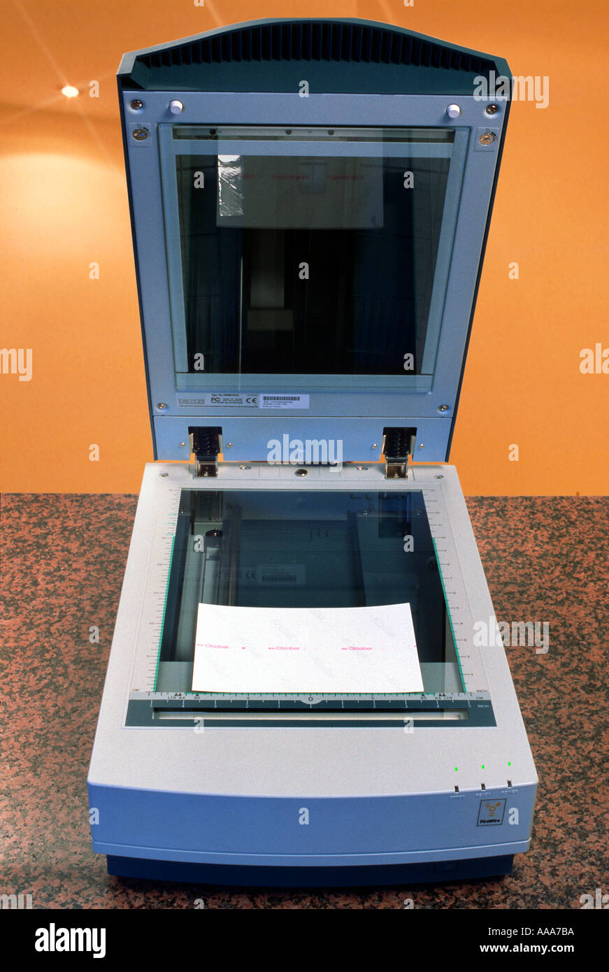 Flachbett-Scanner Flachbett Scannen ein Bild Foto digital ...