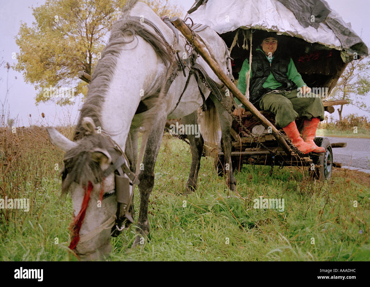 Pferde zigeuner wohnwagen -Fotos und -Bildmaterial in hoher Auflösung ...