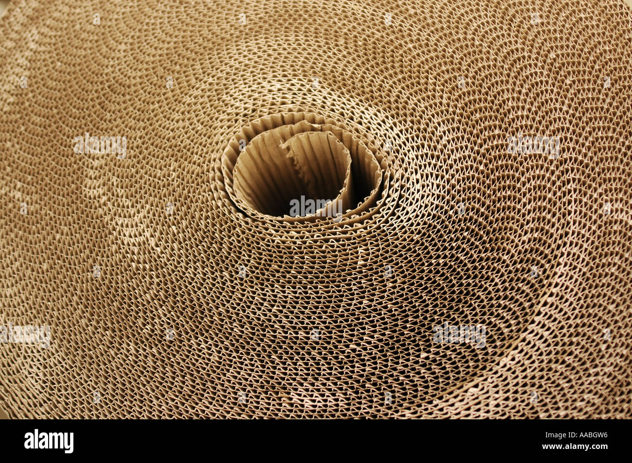 Karton aufbereiten -Fotos und -Bildmaterial in hoher Auflösung – Alamy