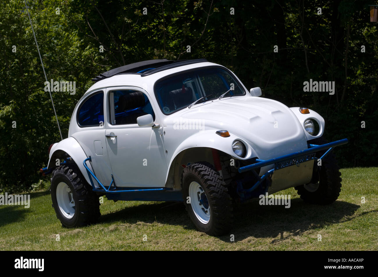Vw käfer baja käfer -Fotos und -Bildmaterial in hoher Auflösung – Alamy