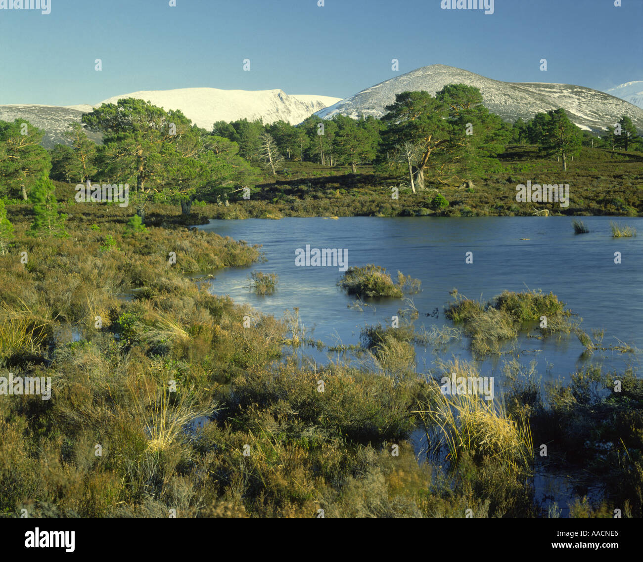 Lochan deo -Fotos und -Bildmaterial in hoher Auflösung – Alamy