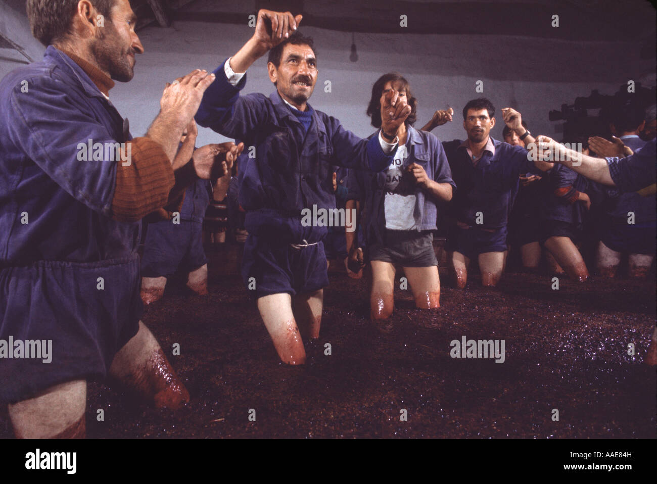 Wein stampfen Stockfotos und -bilder Kaufen - Alamy