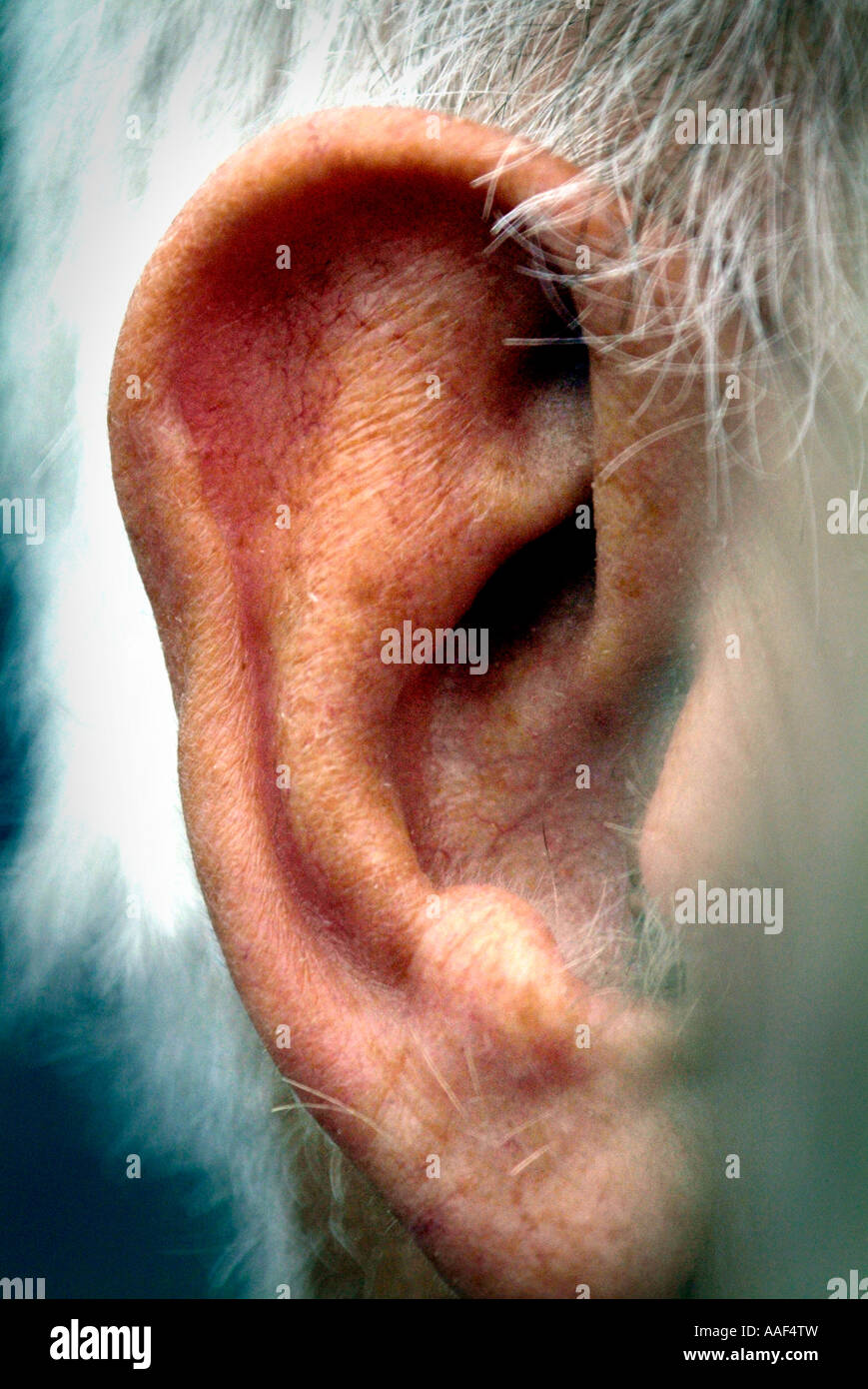 Medizinische körperteile -Fotos und -Bildmaterial in hoher Auflösung ...