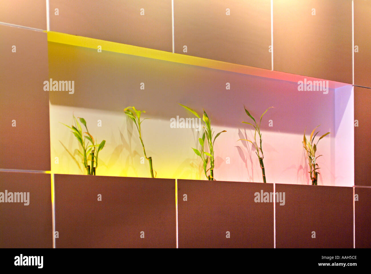 Fengshui innenraum -Fotos und -Bildmaterial in hoher Auflösung – Alamy