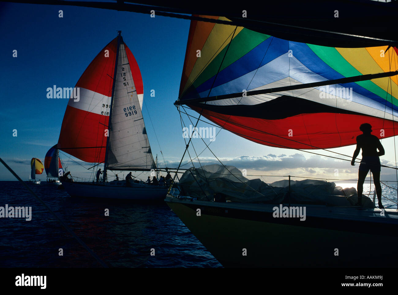 SEGELBOOT RACE SILHOUETTE SAILOR BUNTE SPINNAKER SEGEL Stockfotografie ...