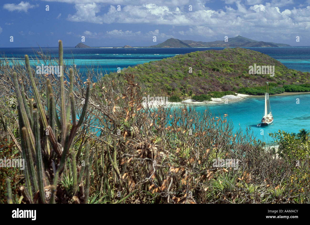 Cays von petit bateau -Fotos und -Bildmaterial in hoher Auflösung – Alamy
