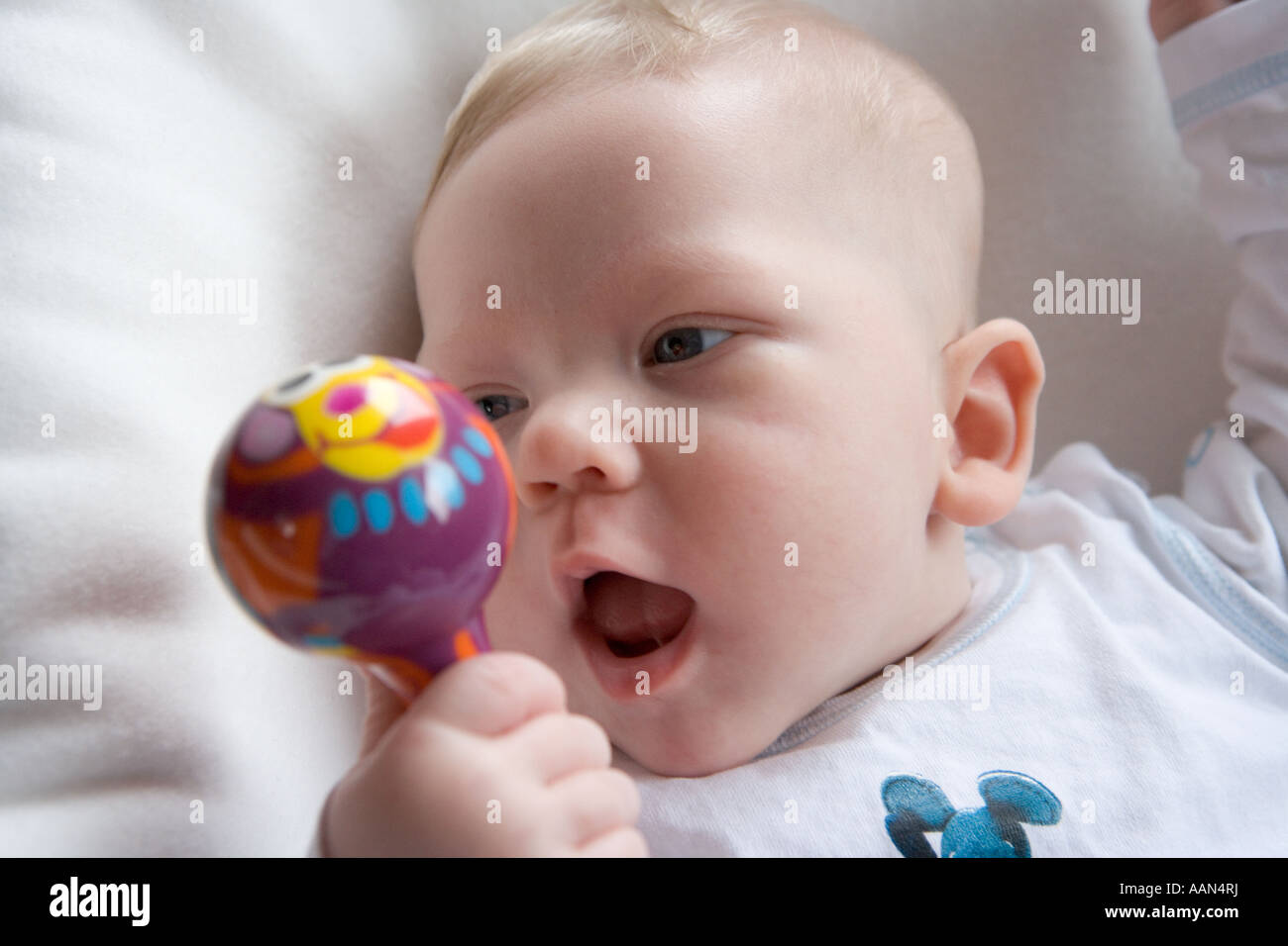 Die rasseln -Fotos und -Bildmaterial in hoher Auflösung – Alamy