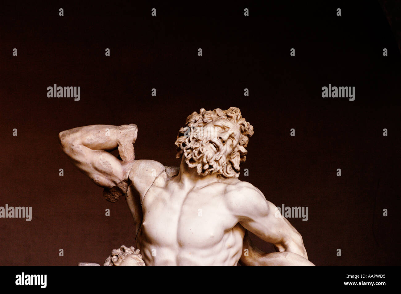 Laocoon statue -Fotos und -Bildmaterial in hoher Auflösung – Alamy