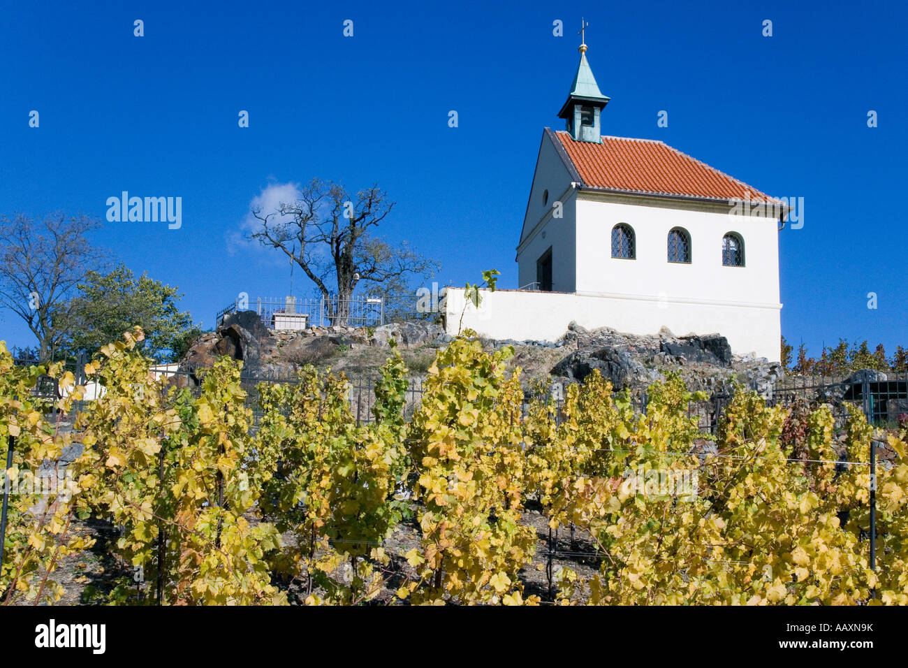 Vinice svate klary -Fotos und -Bildmaterial in hoher Auflösung – Alamy