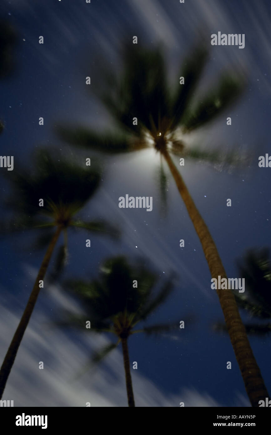 Winde heulen -Fotos und -Bildmaterial in hoher Auflösung – Alamy