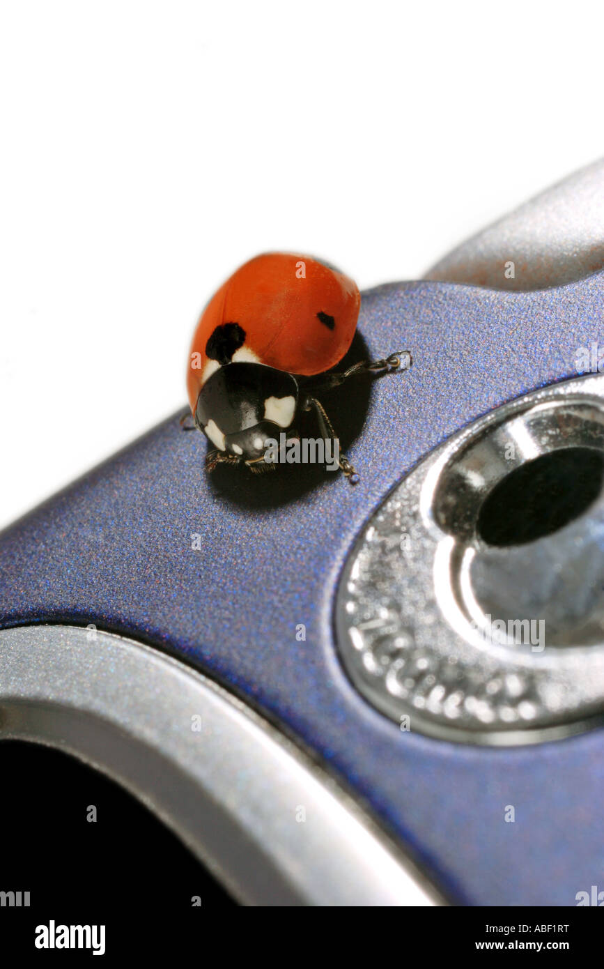 Cia bug -Fotos und -Bildmaterial in hoher Auflösung – Alamy