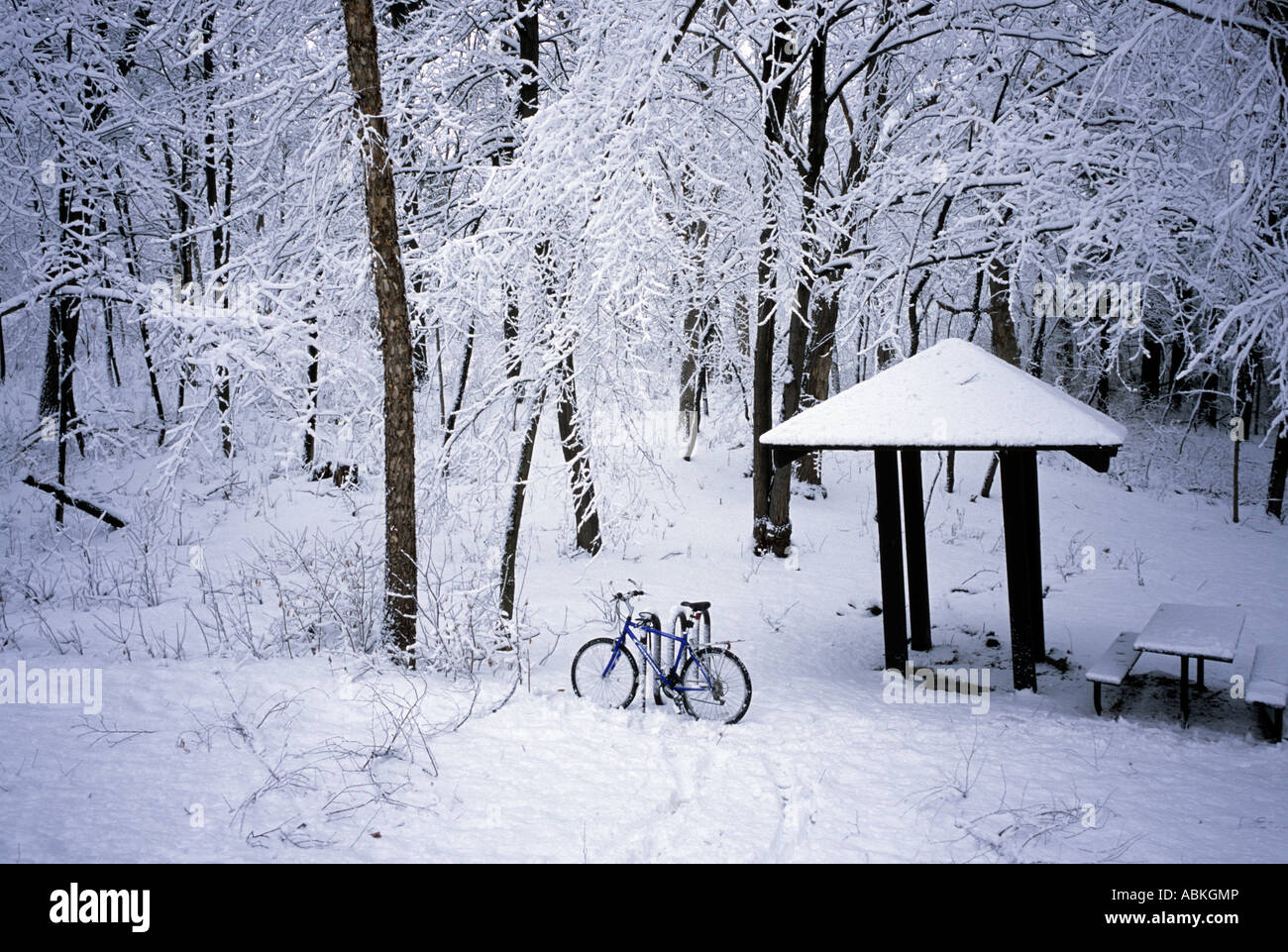 Theodore hardy -Fotos und -Bildmaterial in hoher Auflösung – Alamy