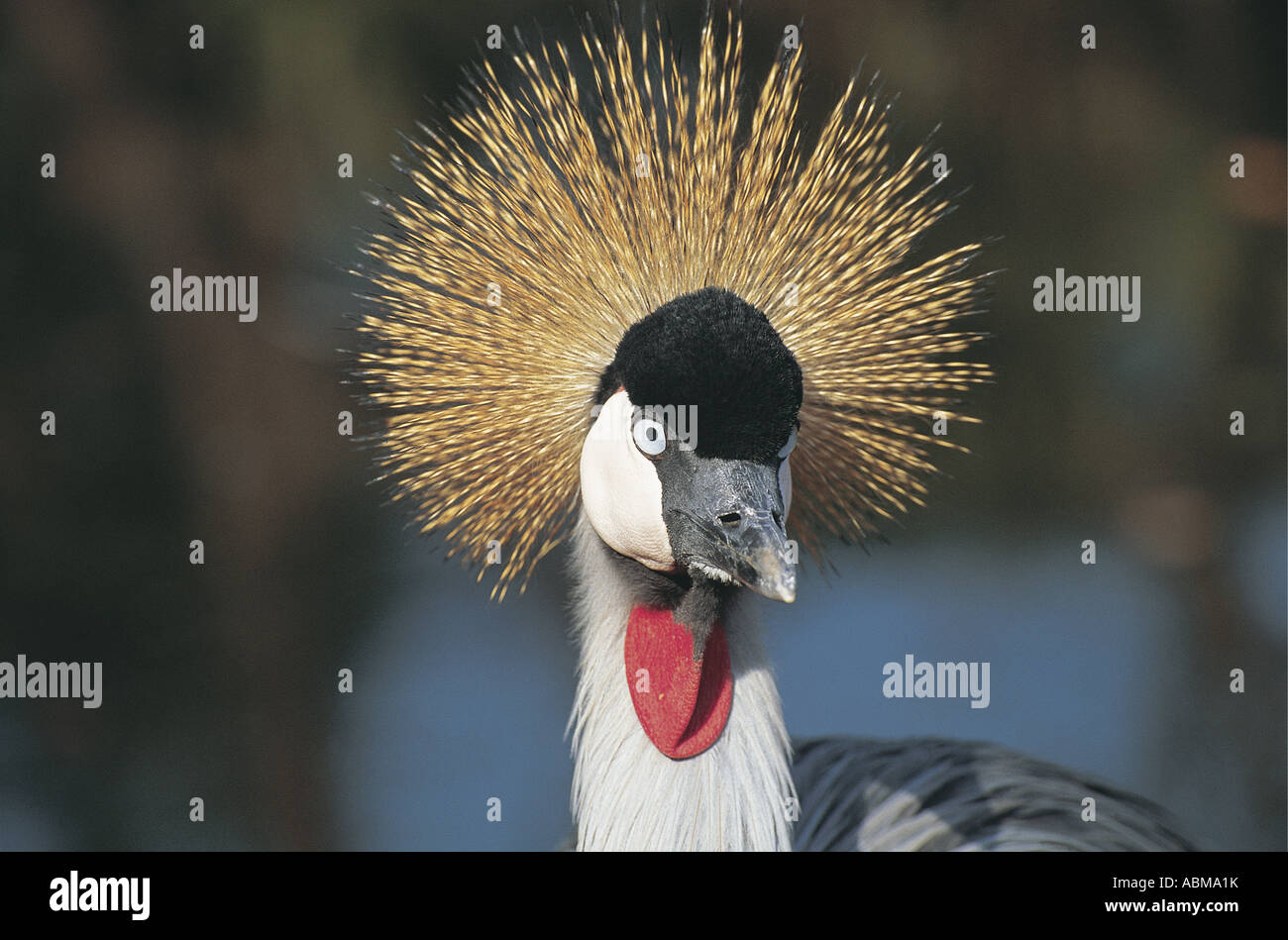 Greifer kran -Fotos und -Bildmaterial in hoher Auflösung – Alamy