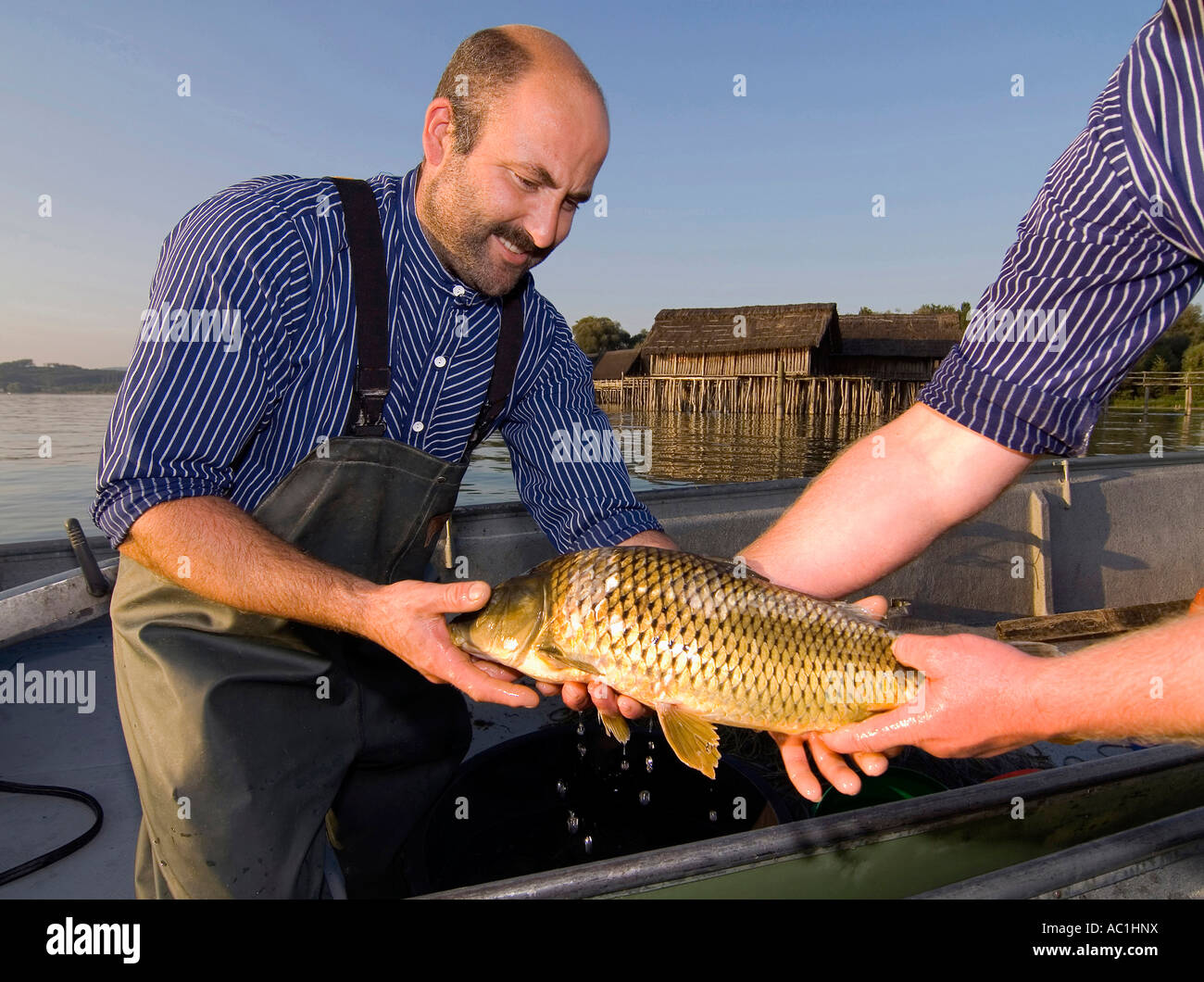 Bodensee fischer -Fotos und -Bildmaterial in hoher Auflösung – Alamy