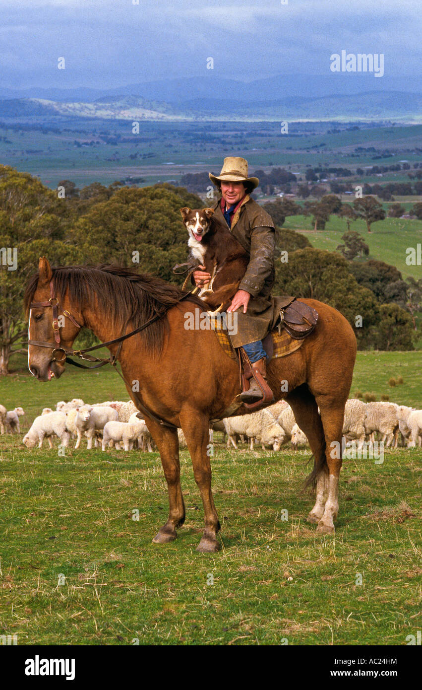 Stockman hund Stockfotos und -bilder Kaufen - Alamy