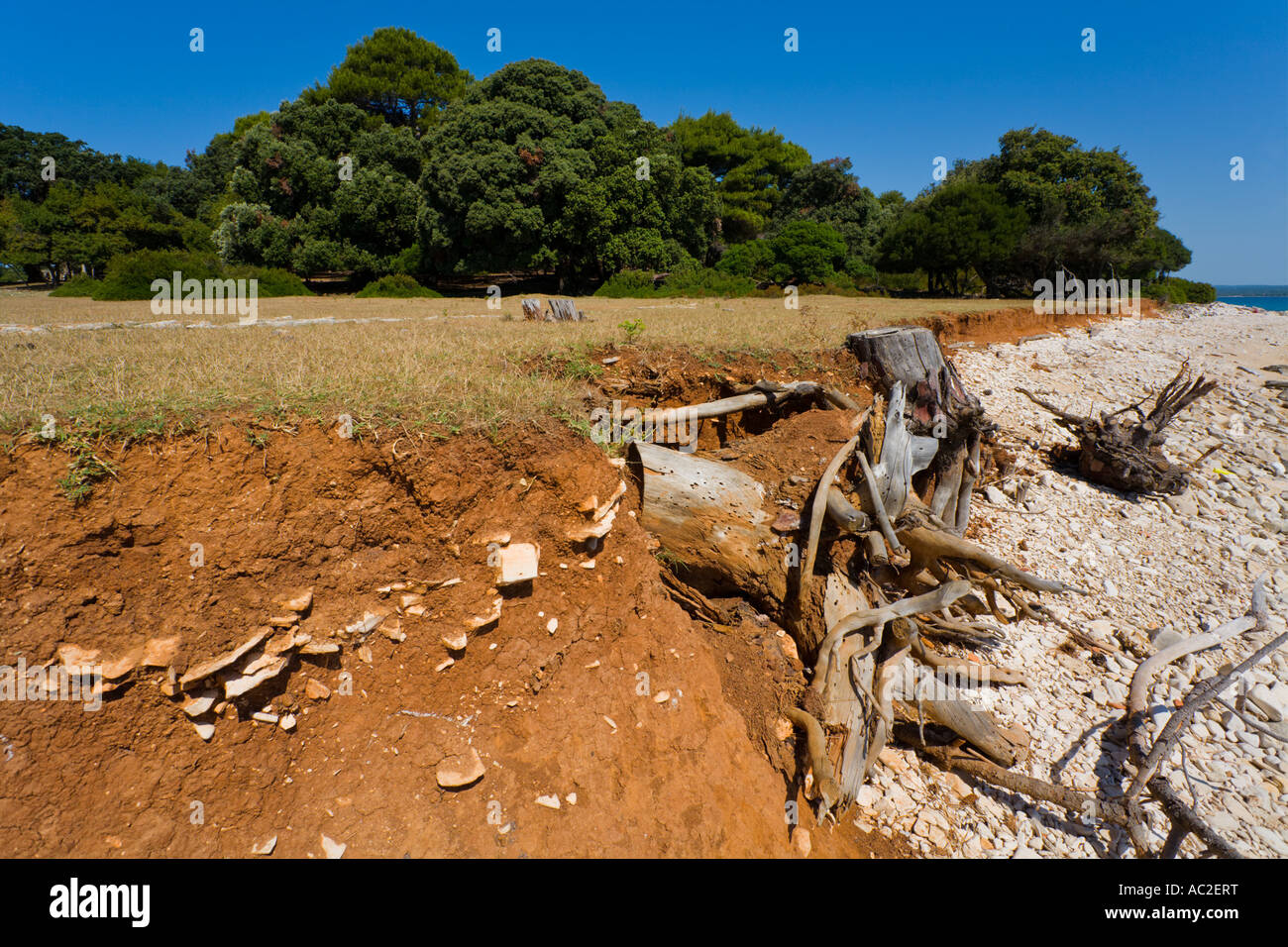 Küstenlinie Erosion, Kosir Website auf Brioni Inseln Veliki Brijun ...
