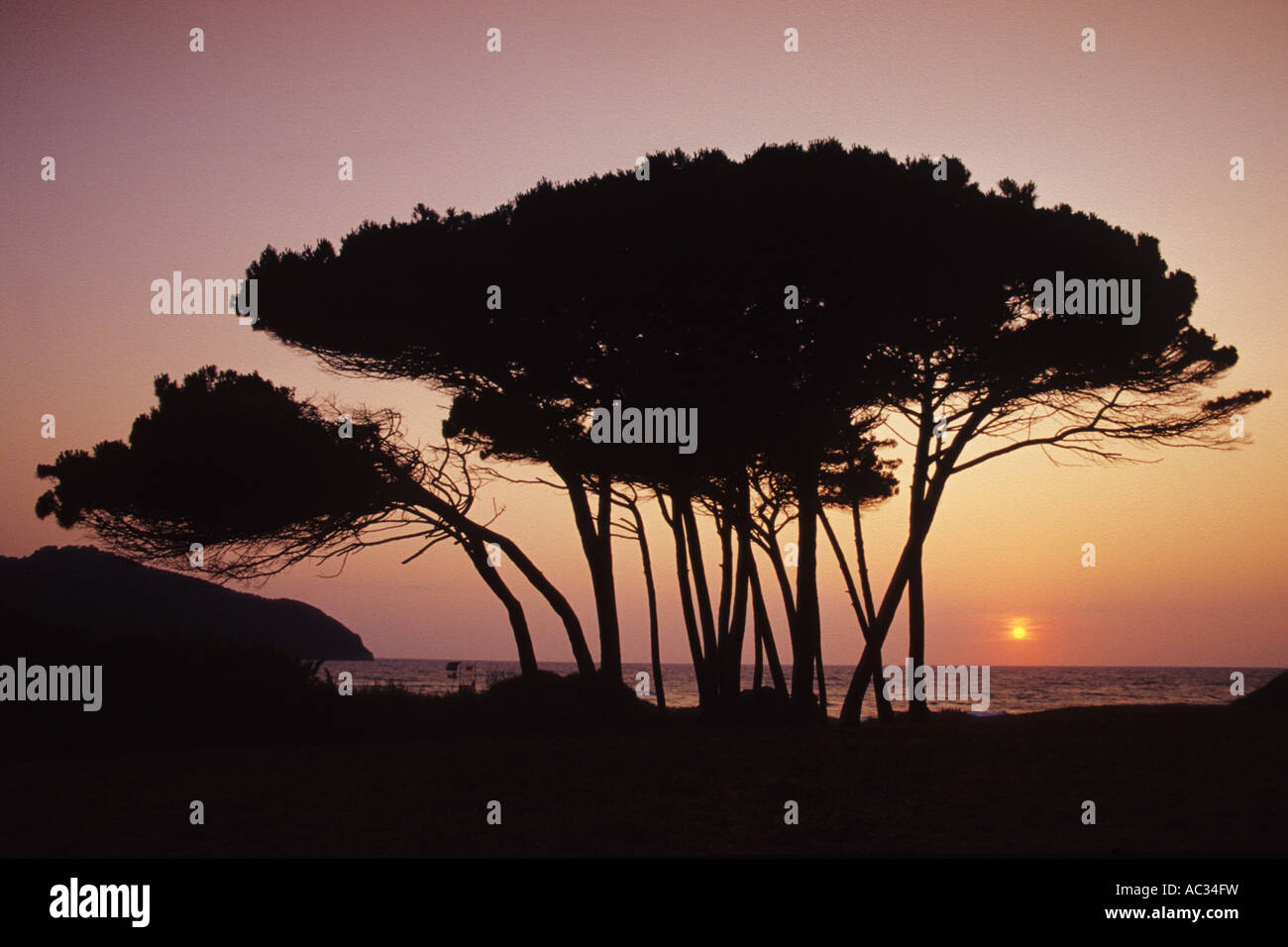 Baratti Strand Stockfotos und -bilder Kaufen - Alamy