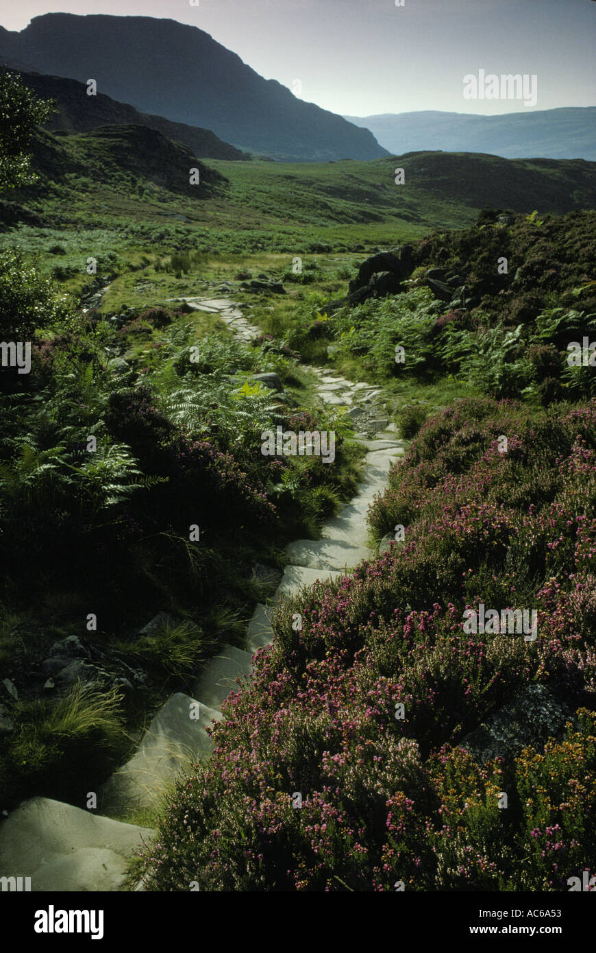 Roman Trade Stockfotos und -bilder Kaufen - Alamy