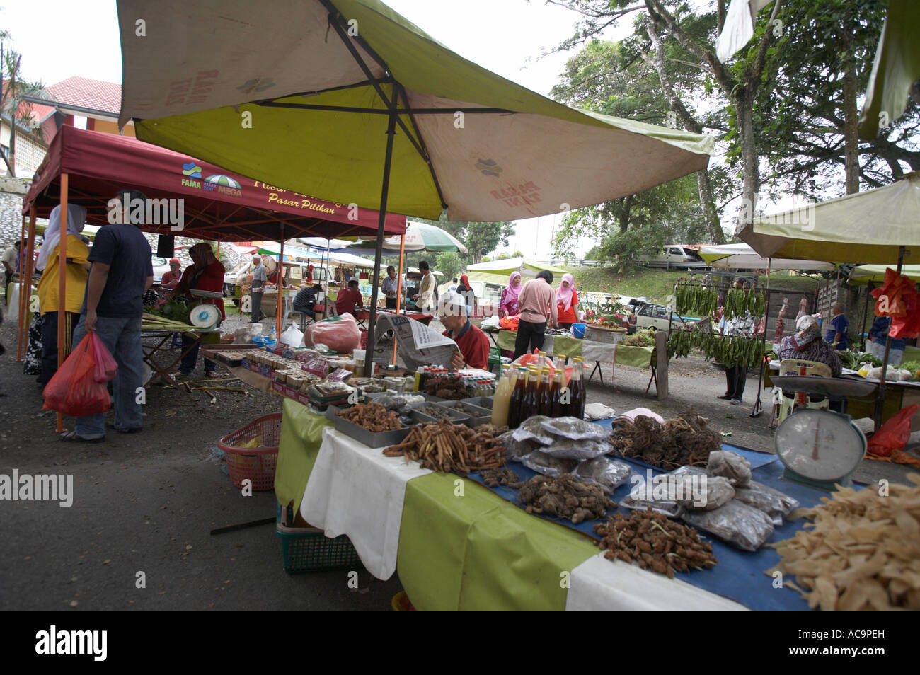 Pasar tani -Fotos und -Bildmaterial in hoher Auflösung – Alamy