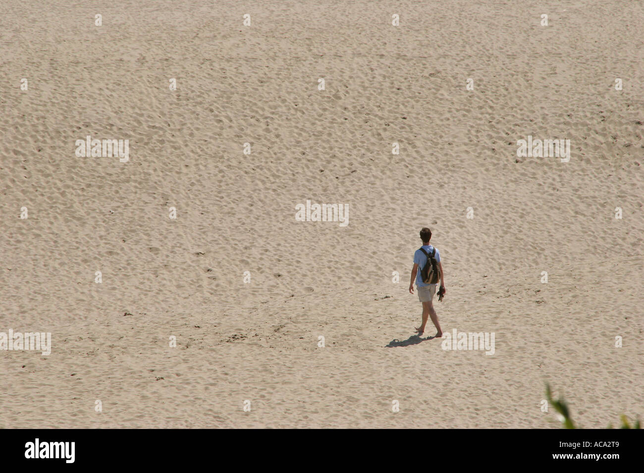 Dune of nidden -Fotos und -Bildmaterial in hoher Auflösung – Alamy
