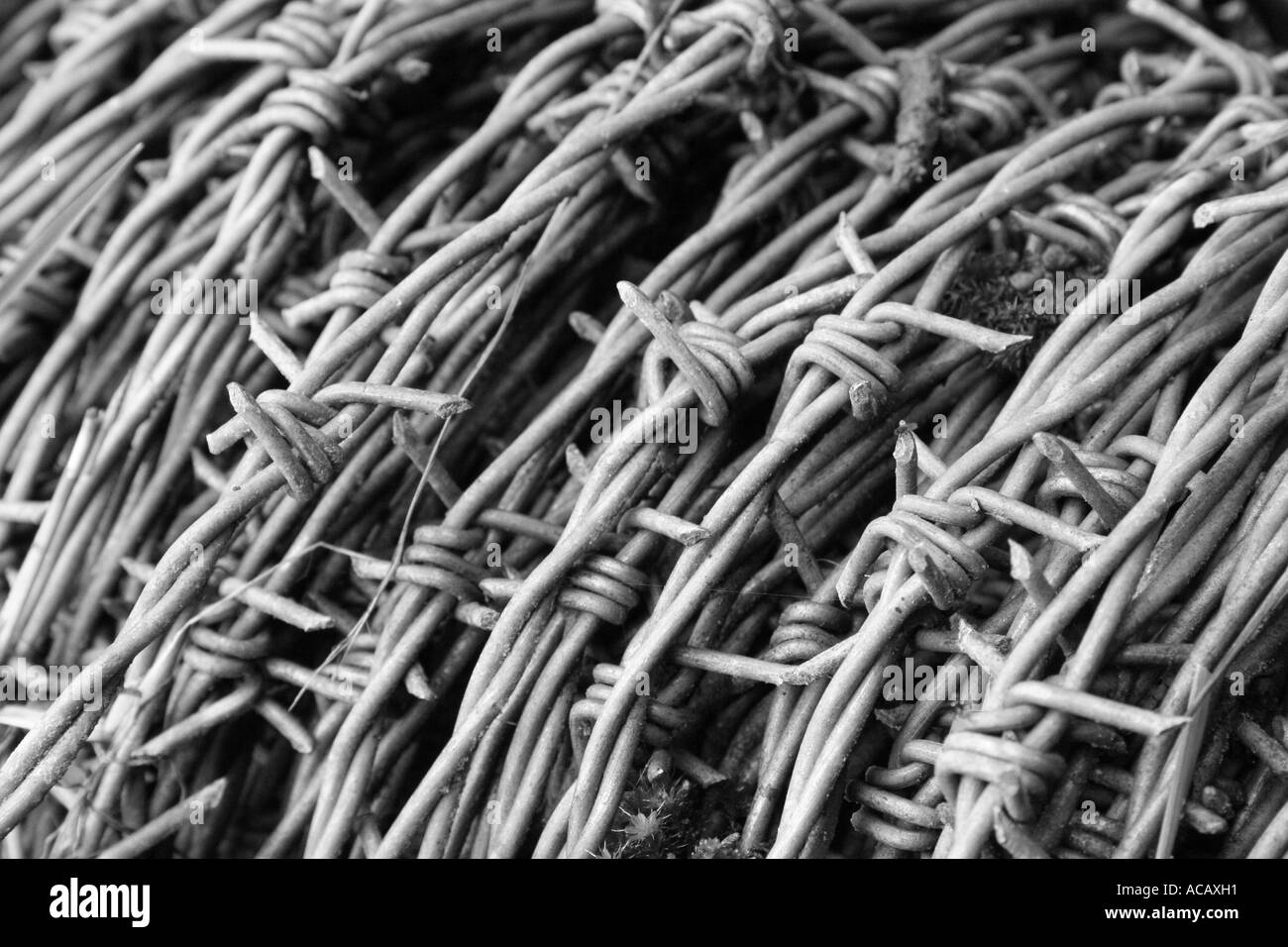Stacheldraht rollen Schwarzweiß-Stockfotos und -bilder - Alamy