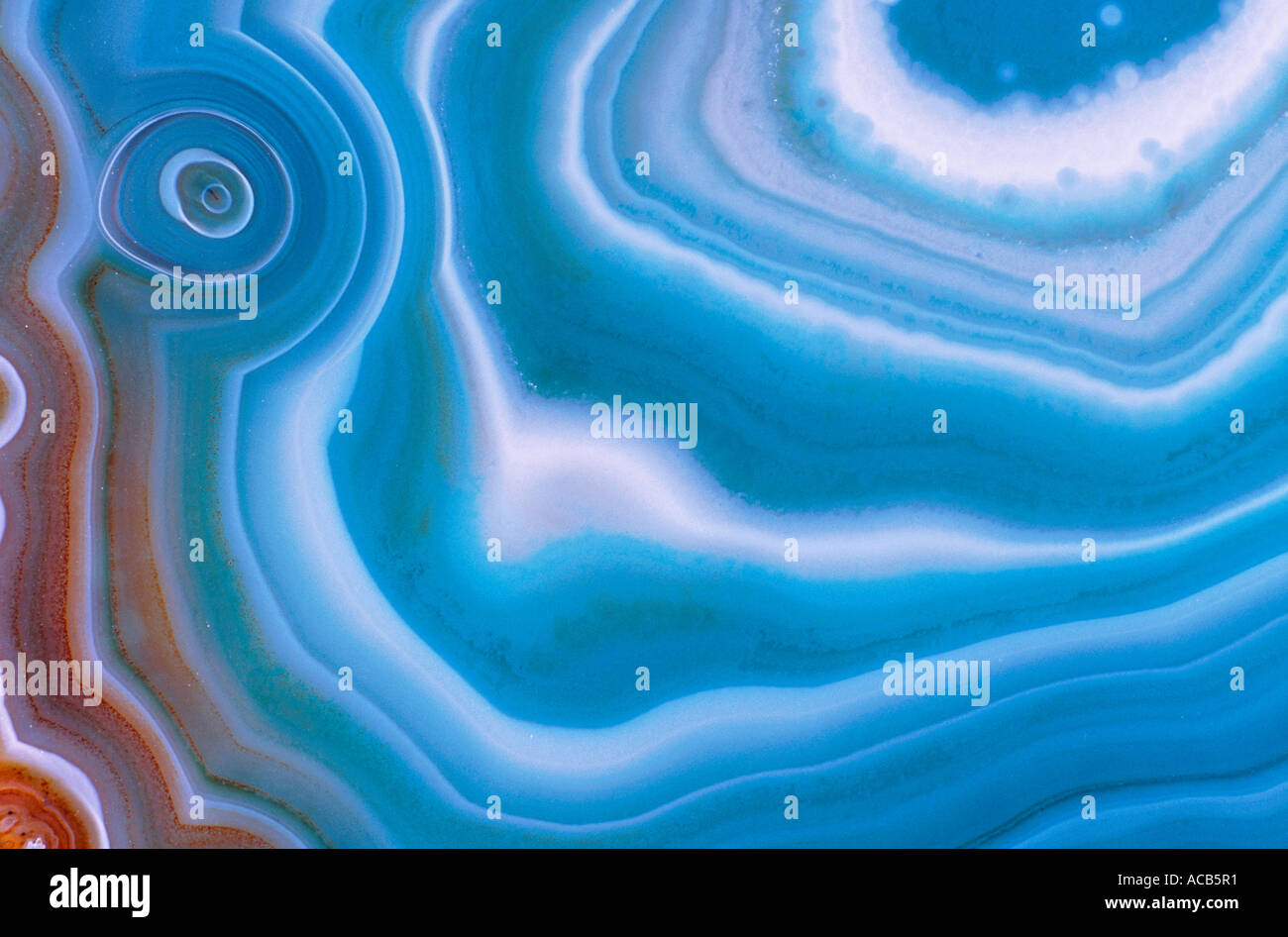 Achat im detail -Fotos und -Bildmaterial in hoher Auflösung – Alamy