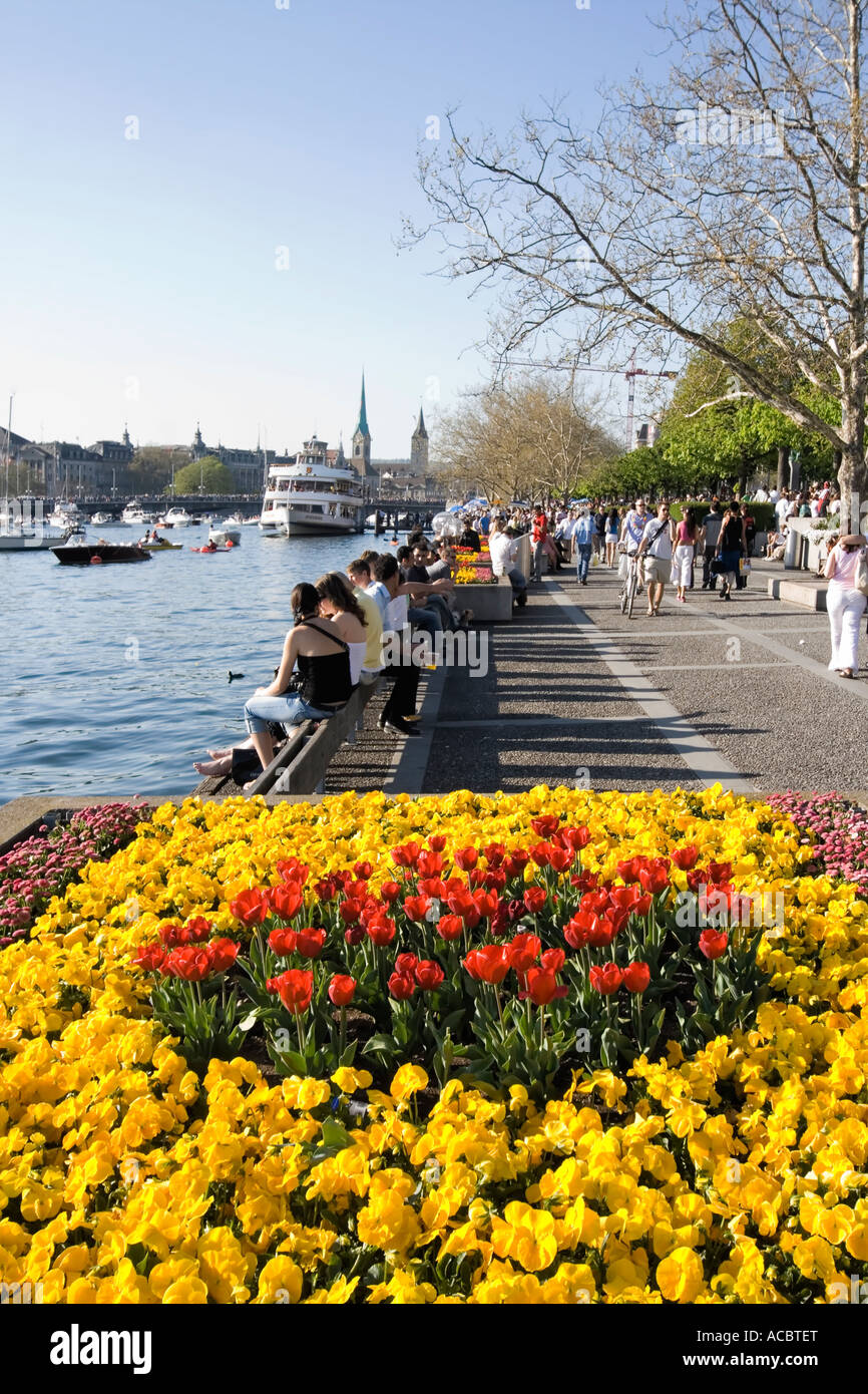 Switzerland Zuerich Zurich Lake Promenade Stockfotos und -bilder Kaufen ...