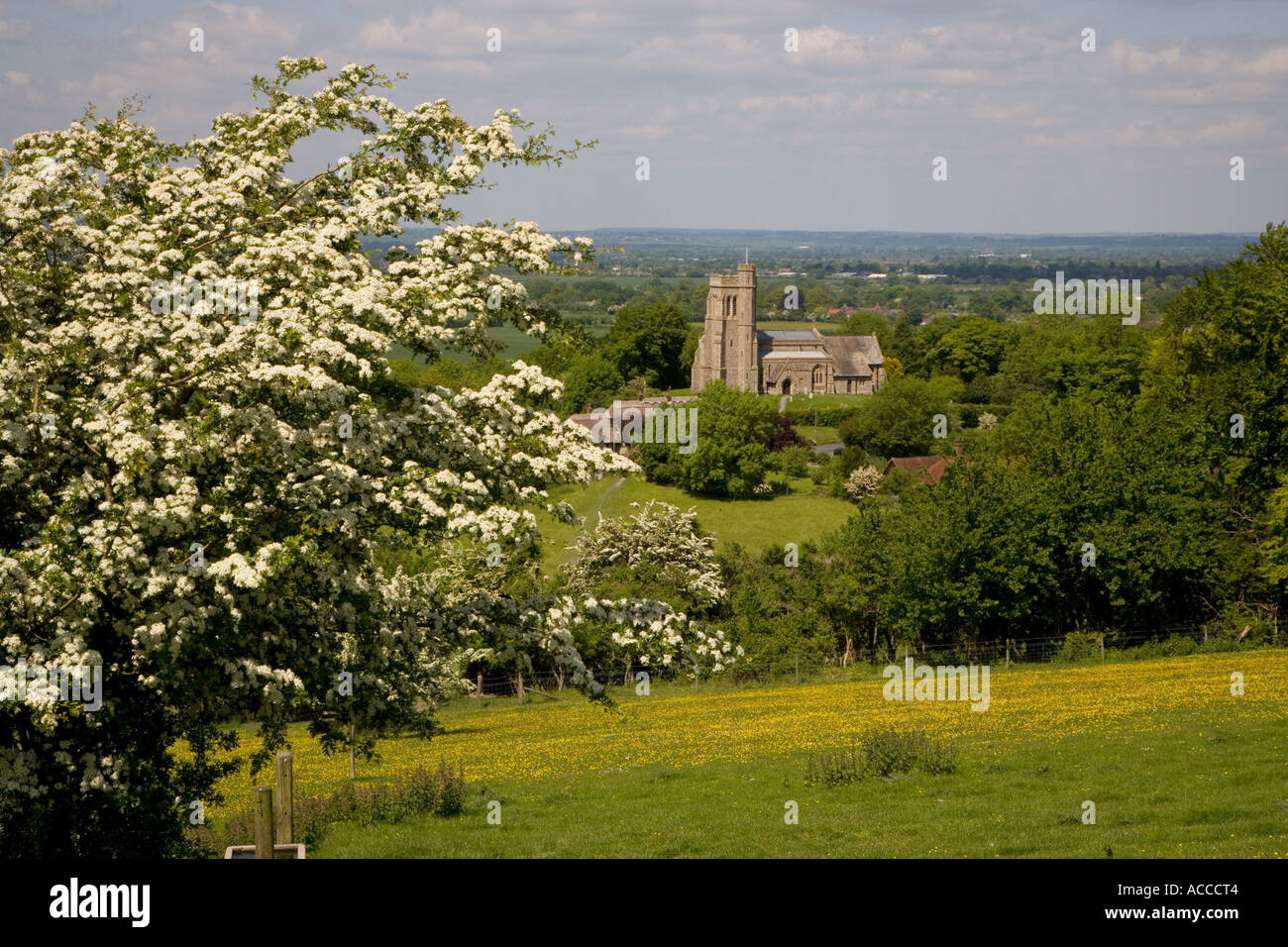 Ellesborough Kirche in der Nähe von Wendover Buckinghamshire UK kann ...