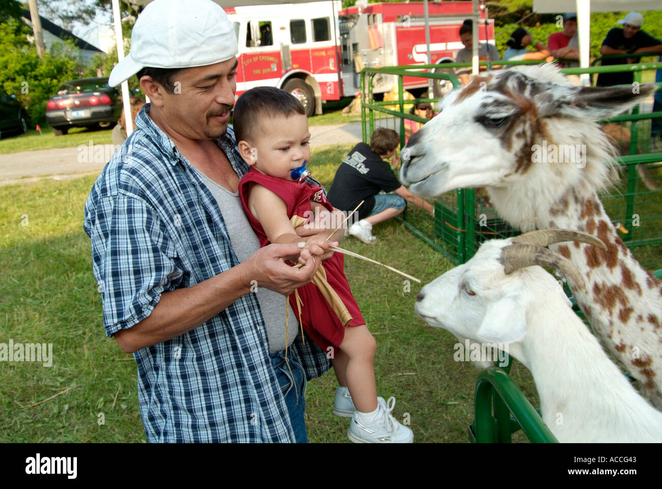 Tiere unterhalten -Fotos und -Bildmaterial in hoher Auflösung – Alamy